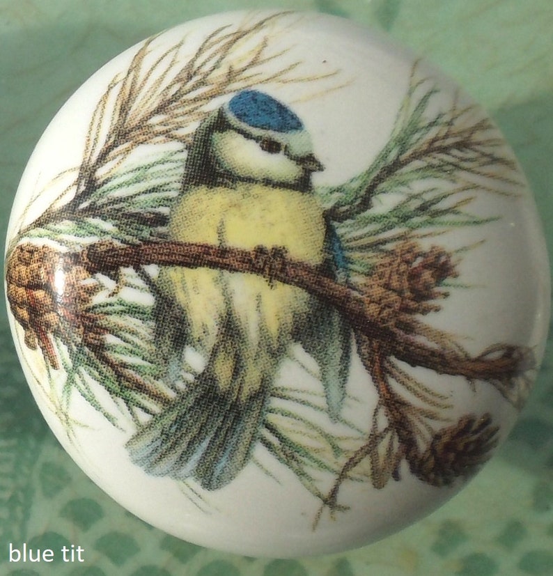 Robin Domestic birds Ceramic Cabinet Knobs Kitchen Door pulls | Etsy