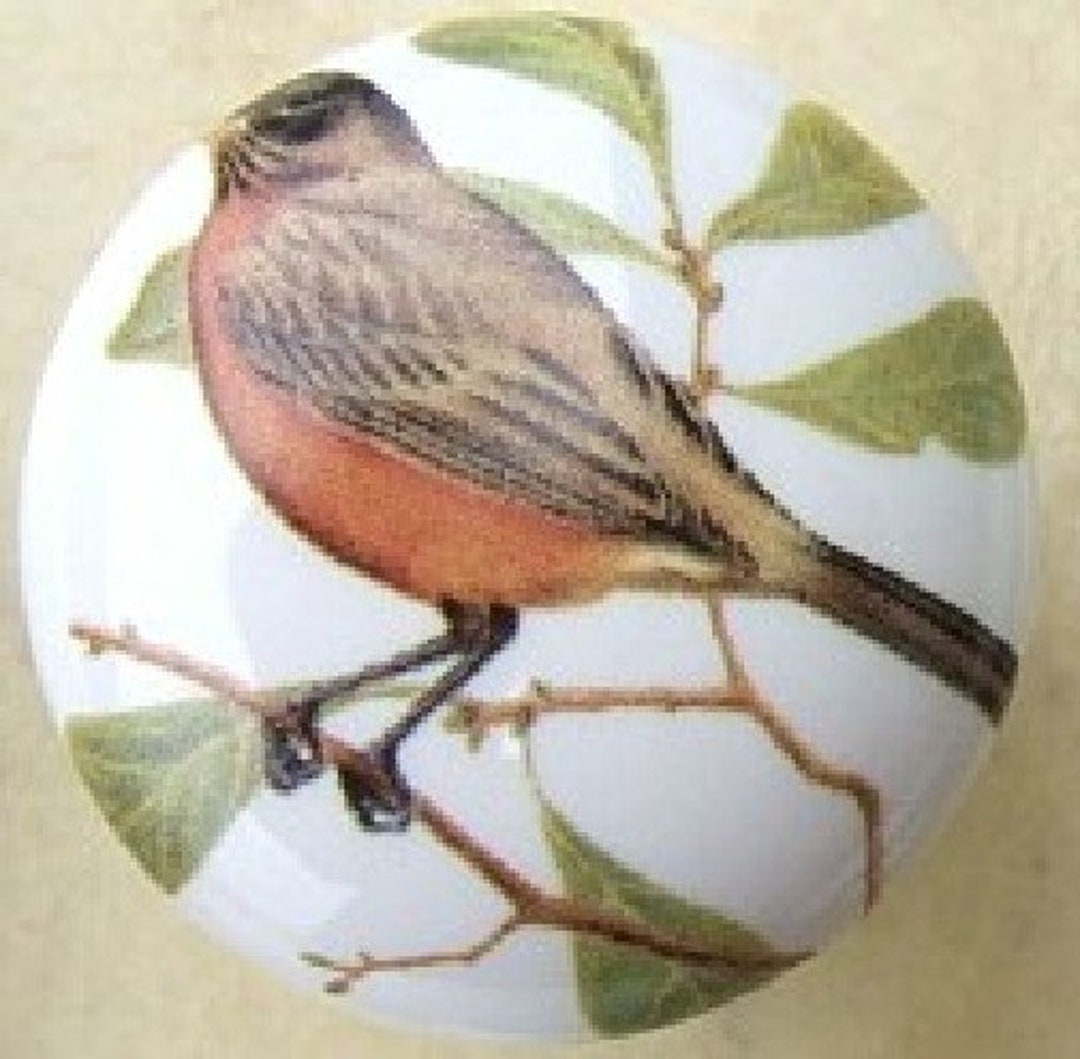 Robin #1 on Branch Ceramic Cabinet Knobs Kitchen Drawer Pulls - Etsy