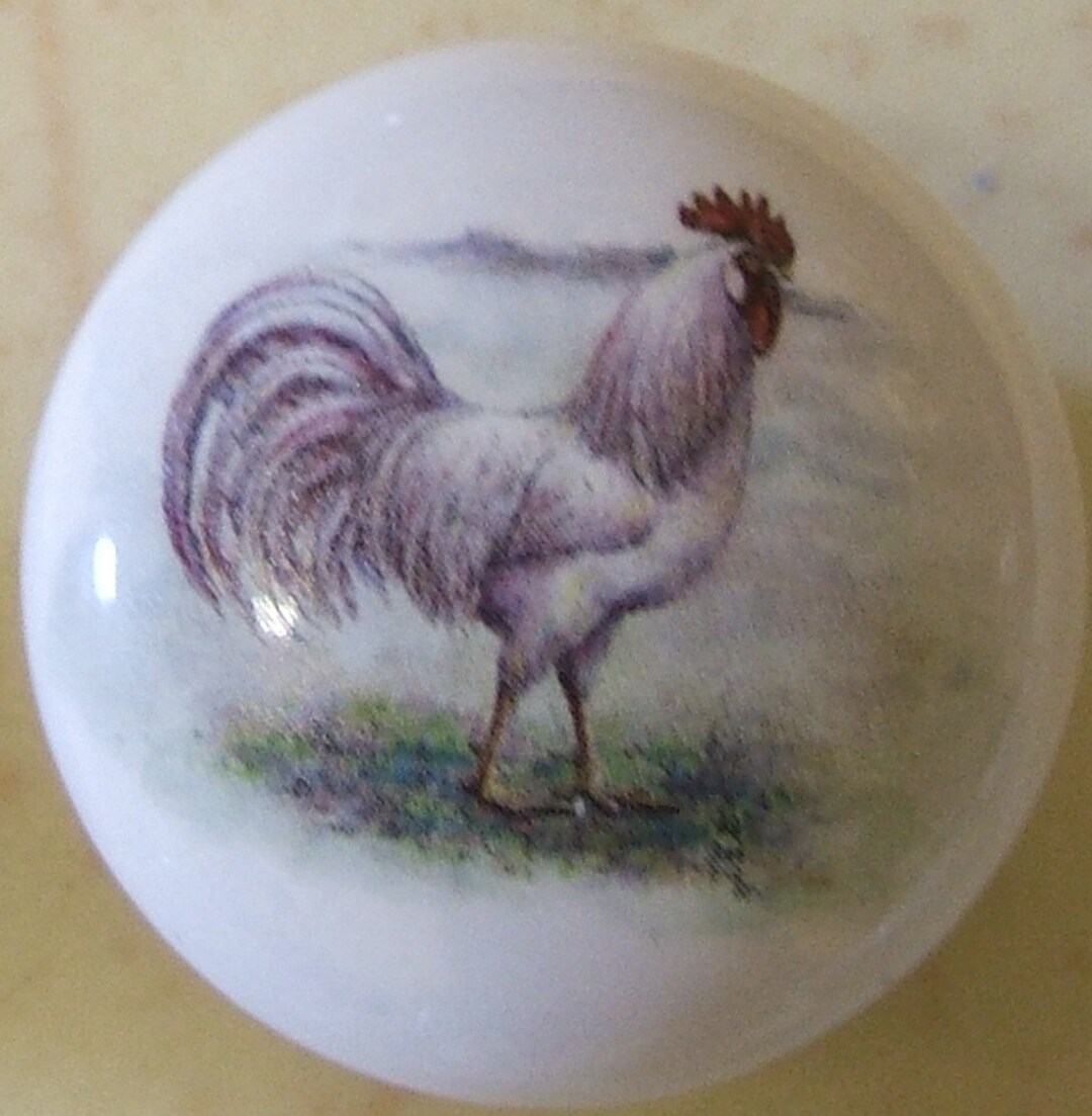 White Leghorn Rooster Ceramic Cabinet Knobs Kitchen Drawer Pulls - Etsy