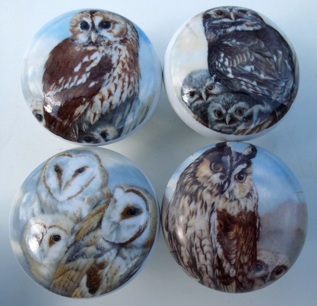 Four Owls #1 (4) Ceramic Cabinet Knobs Kitchen Hardware Pulls - Etsy