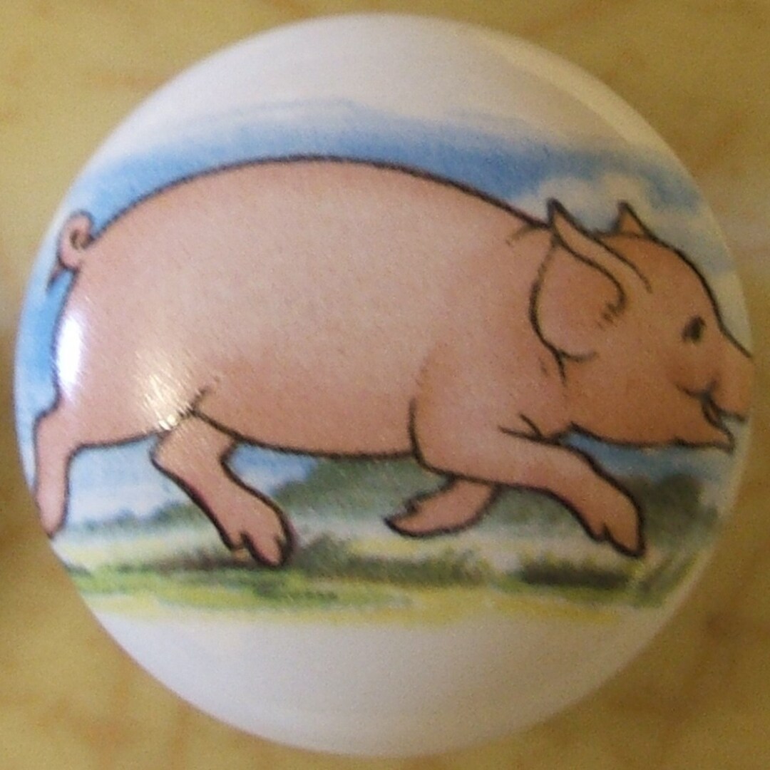 Piglet Running Ceramic Cabinet Knob Farm Kitchen Drawer Pulls - Etsy