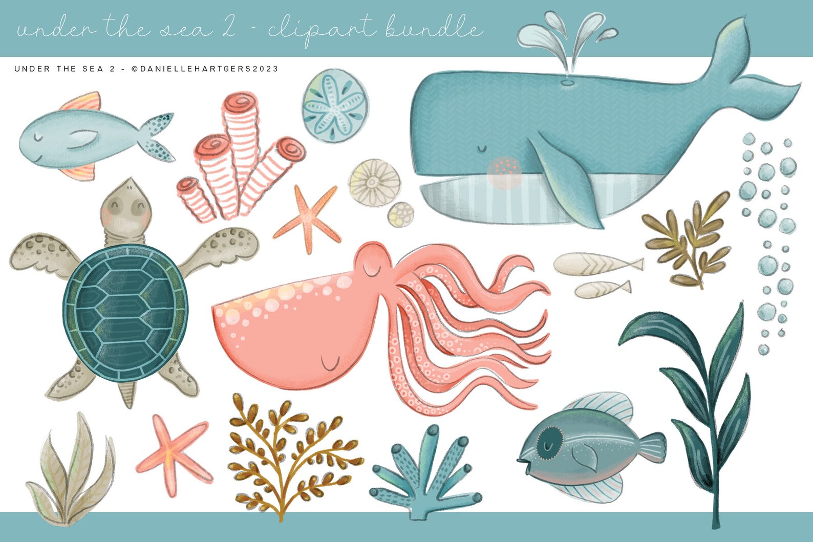 Ocean Animals Clipart Shark Clipart Ocean Life Clipart - Etsy