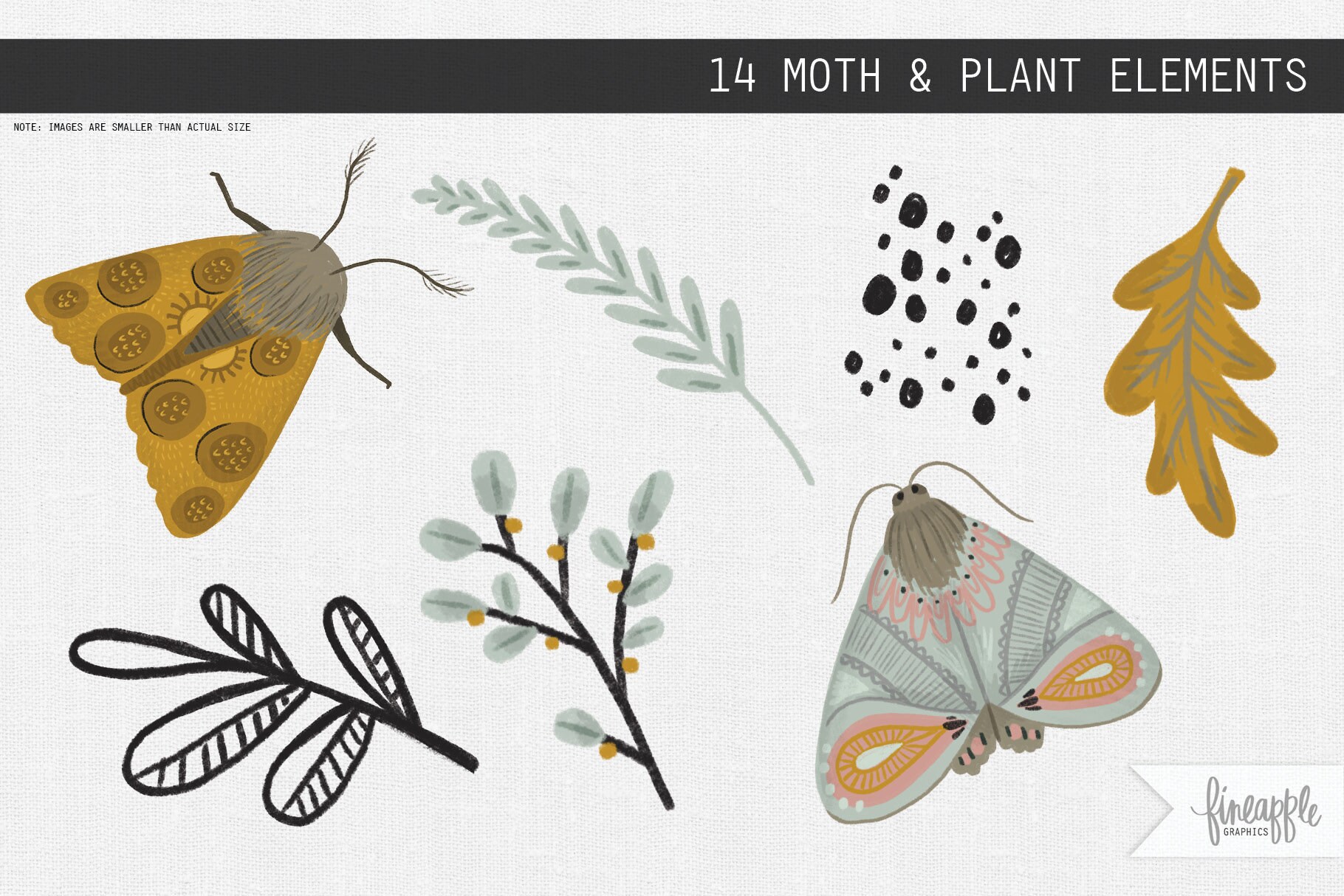 Moth Clipart Moth Digital Paper Moth Garden Graphics Pink | Etsy