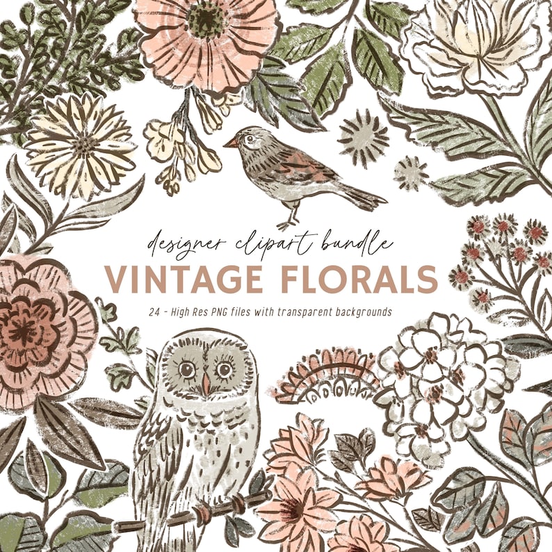 Vintage Floral Clipart, Hand-drawn Botanical PNG Bundle (digital ...