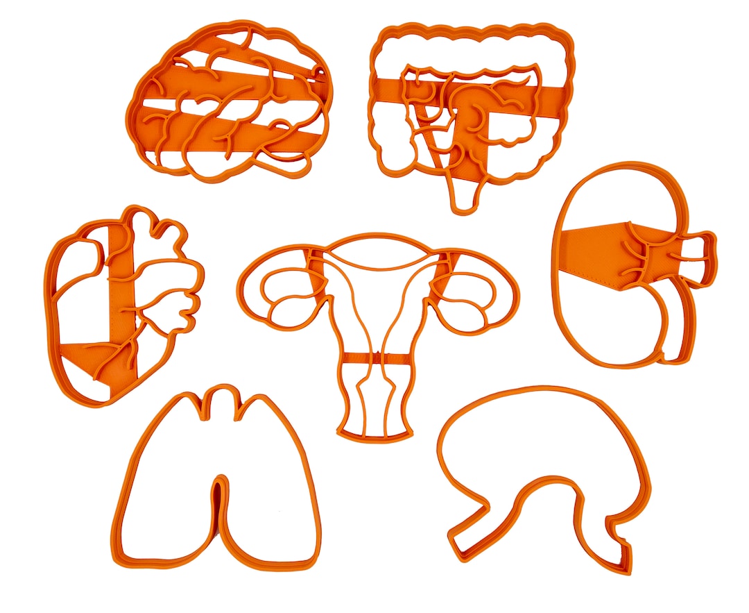 Human Body Organs Cookie Cutters: Anatomy Party Baking (set of 7) - Etsy UK