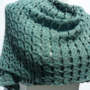 Meadow Beaded Shawl Crochet Pattern - Etsy