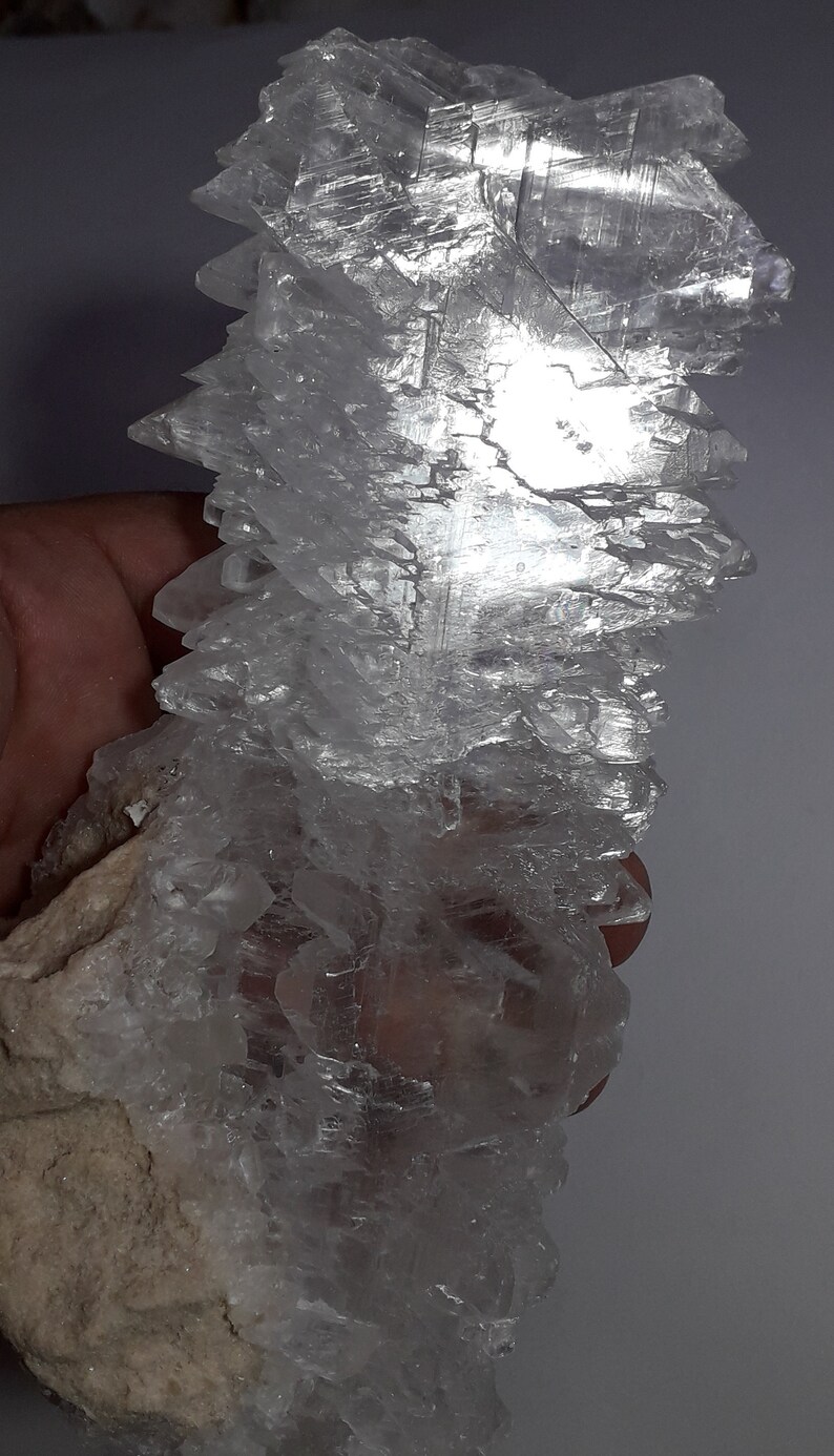 Gemmy Fish Tail Selenite Crystal on Matrix. NAICA Chihuahua | Etsy