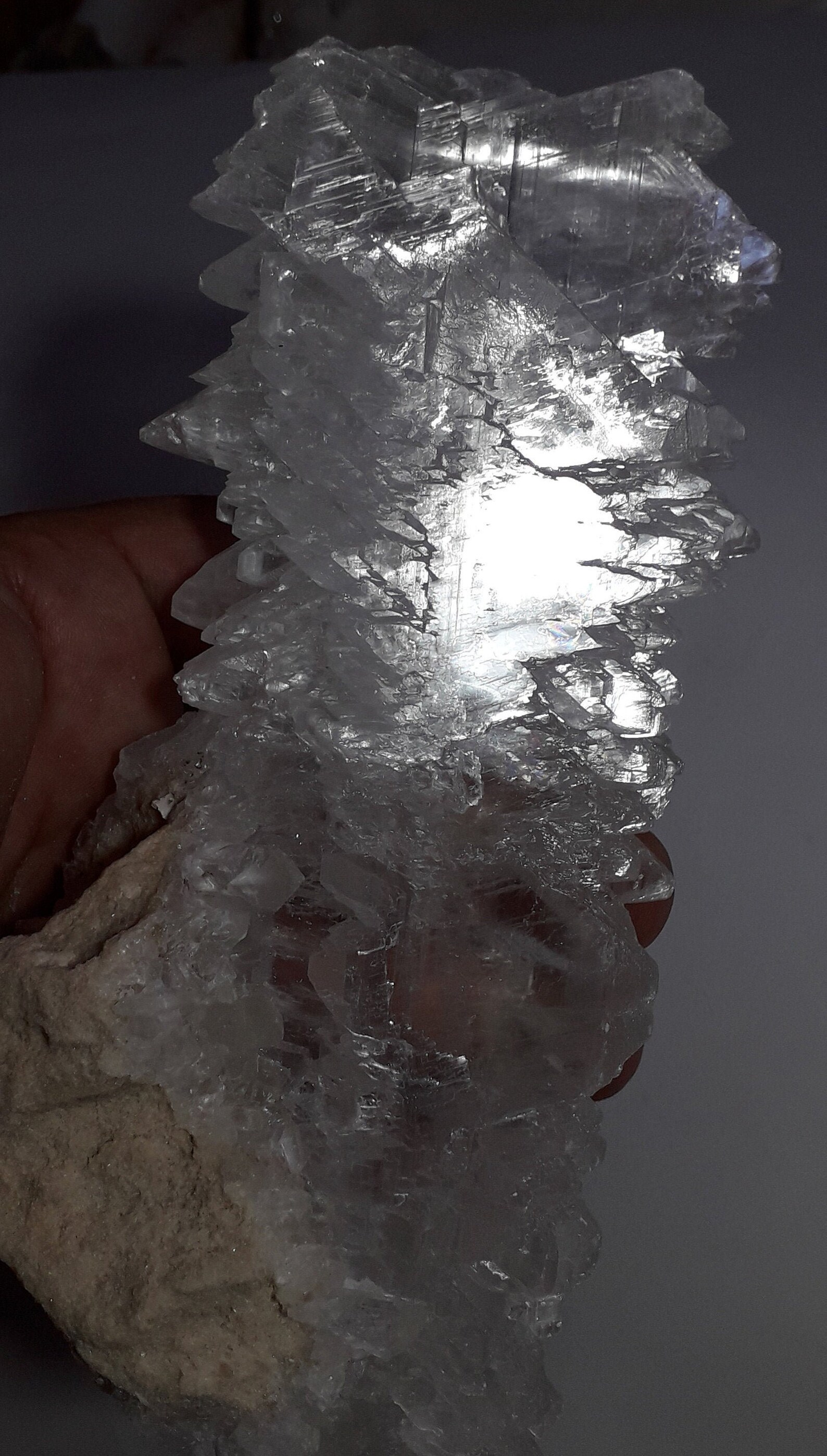 Gemmy Fish Tail Selenite Crystal on Matrix. NAICA Chihuahua | Etsy