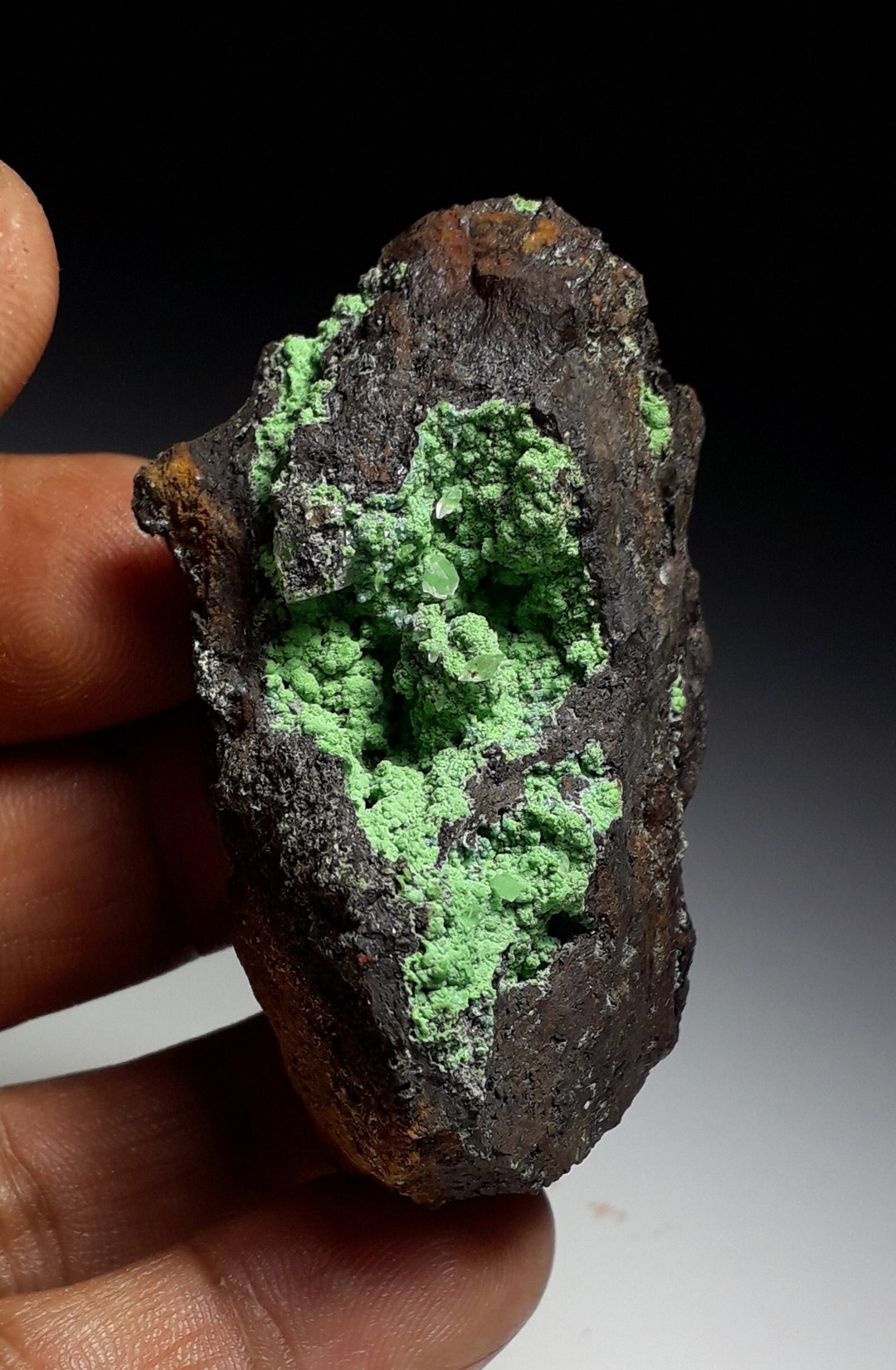53gr. Gemmy Conichalcite & Calcite Crystals. La Ojuela, Mexico - Etsy