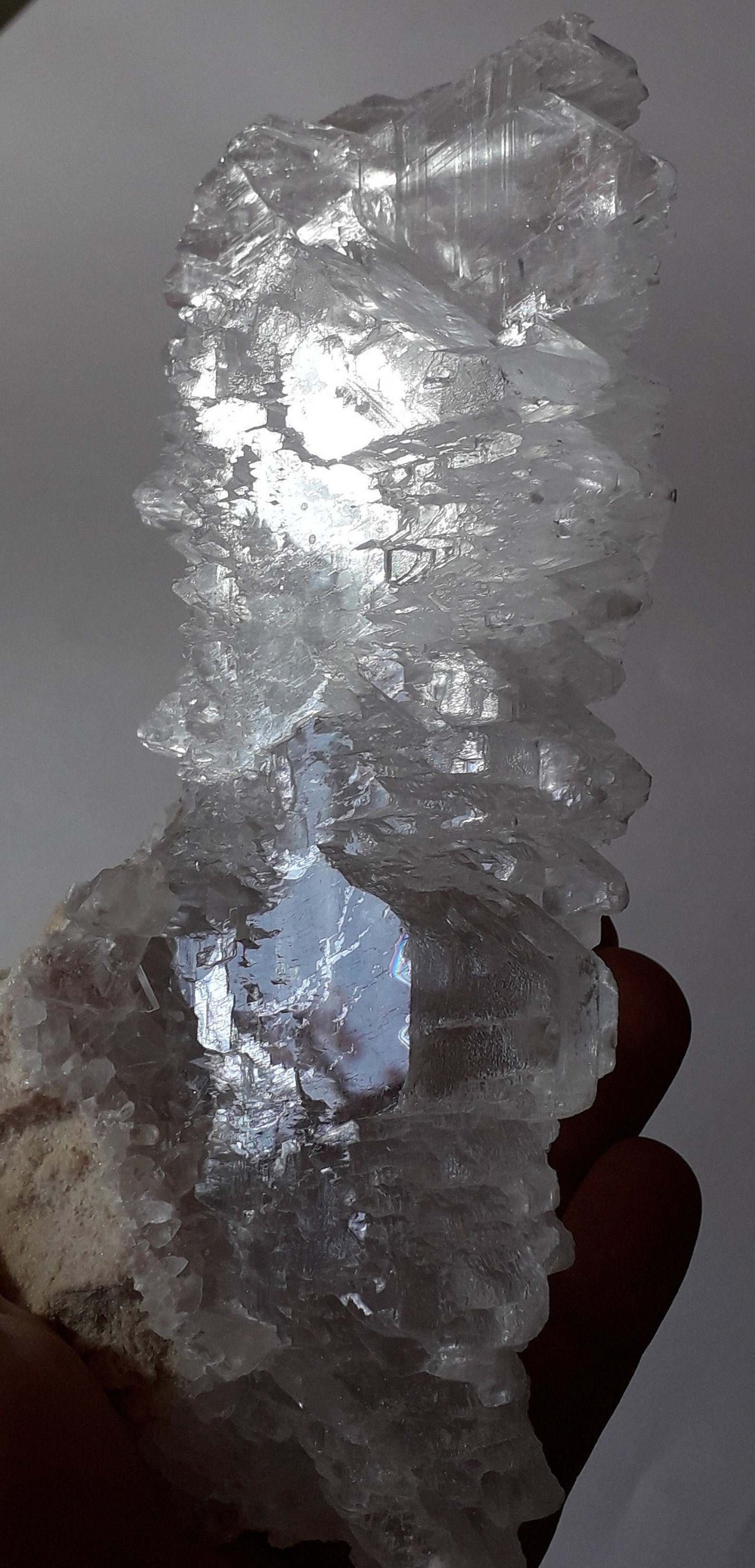 Gemmy Fish Tail Selenite Crystal on Matrix. NAICA Chihuahua | Etsy