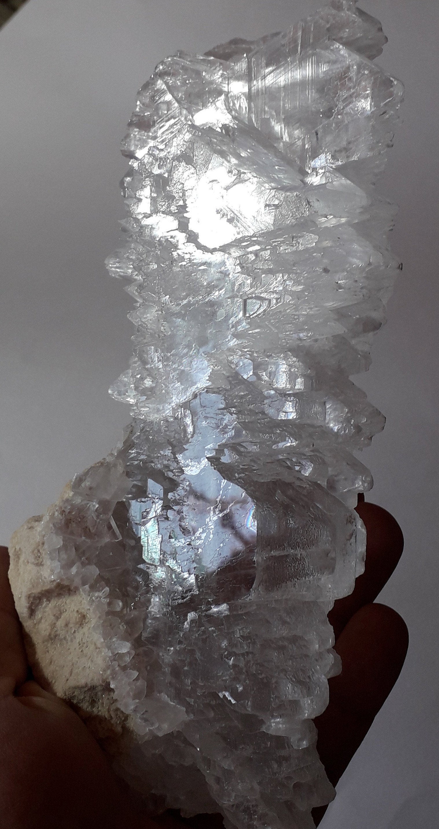 Gemmy Fish Tail Selenite Crystal on Matrix. NAICA Chihuahua | Etsy