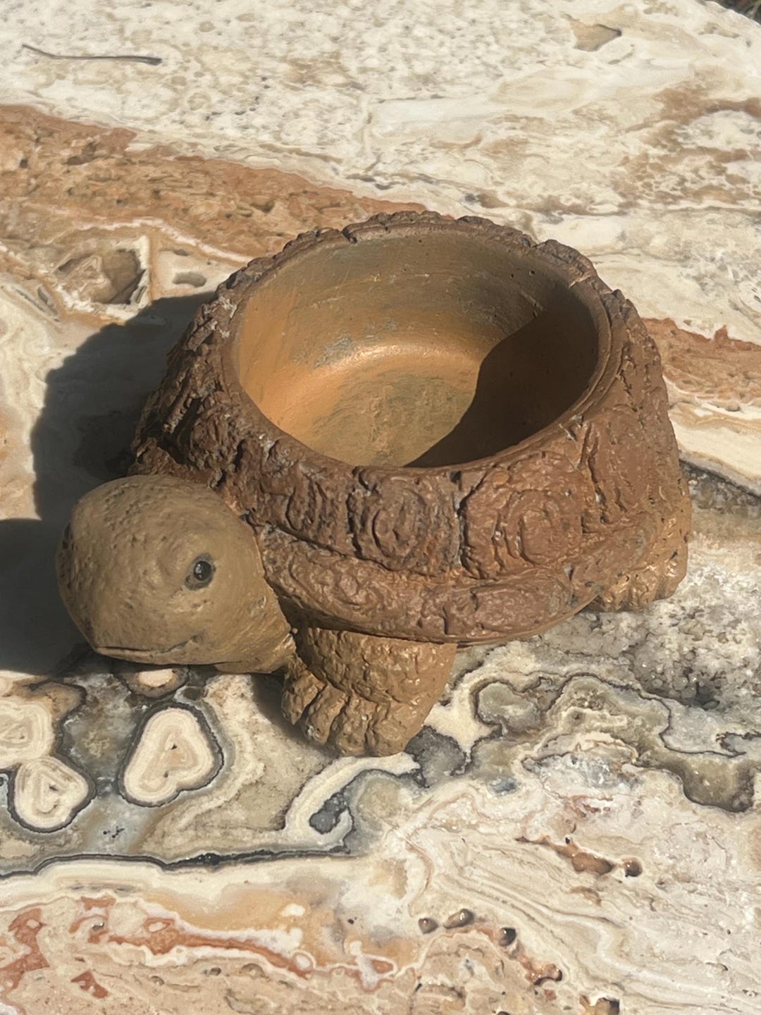 Handmade Concrete Turtle Flower Pot, Outdoor Garden Planter, Cement ...