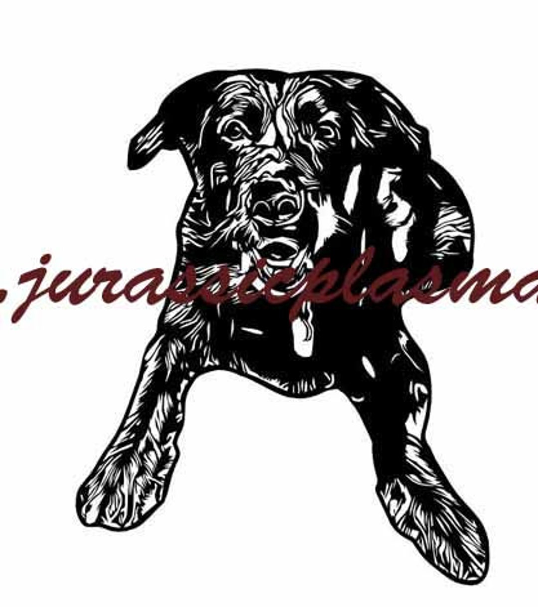 Black Lab High Detail DXF SVG File for Plasma, Laser, Water Jet Vinyl ...