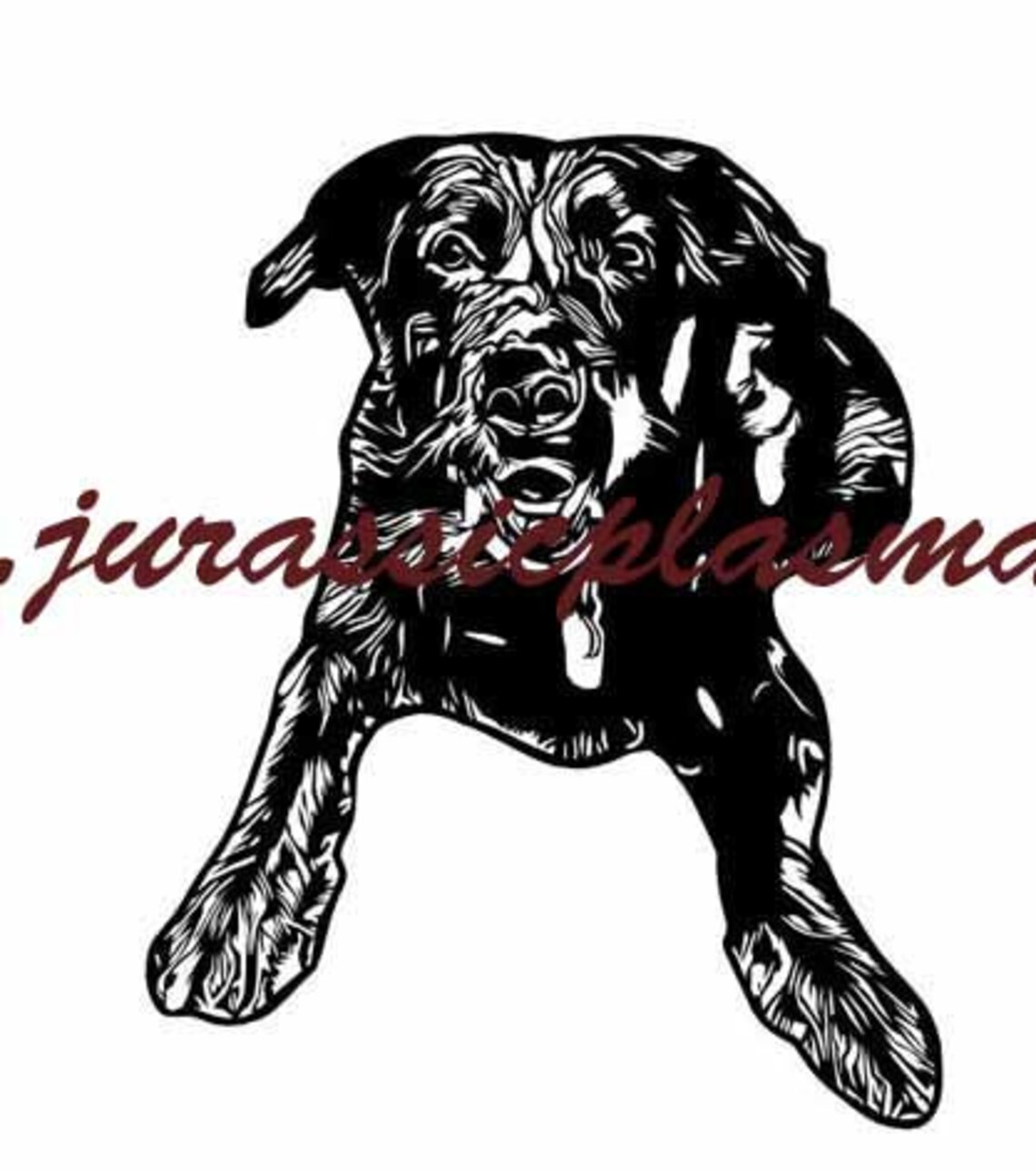 Black Lab High Detail DXF SVG File for Plasma, Laser, Water Jet Vinyl ...