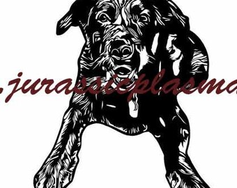 Lab Plasma Dxf - Etsy