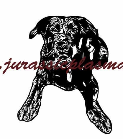 Black Lab High Detail DXF SVG File for Plasma, Laser, Water Jet Vinyl ...