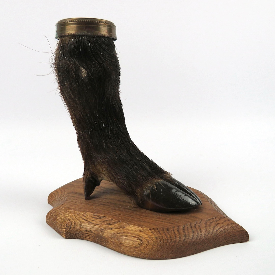 Taxidermy Wild Boar Foot Mounted on Wooden Base, Boar Leg Pencil Holder ...