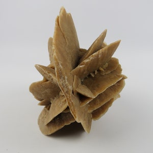 Desert Crystal Rose, Rough Stone Desert Rose, Gypsum Rose Raw, Selenite ...