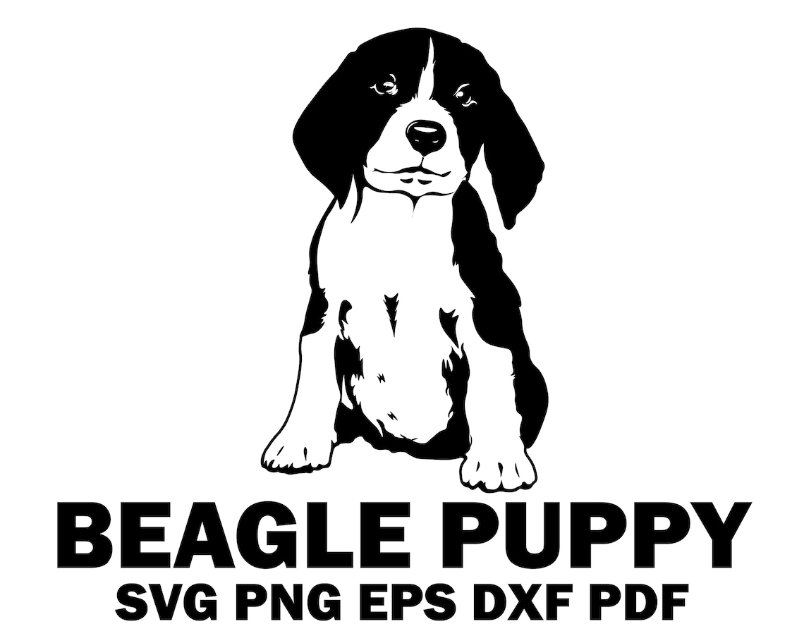 Beagle Puppy Svg / Beagle Svg / Beagle Png / Beagle Eps/ - Etsy