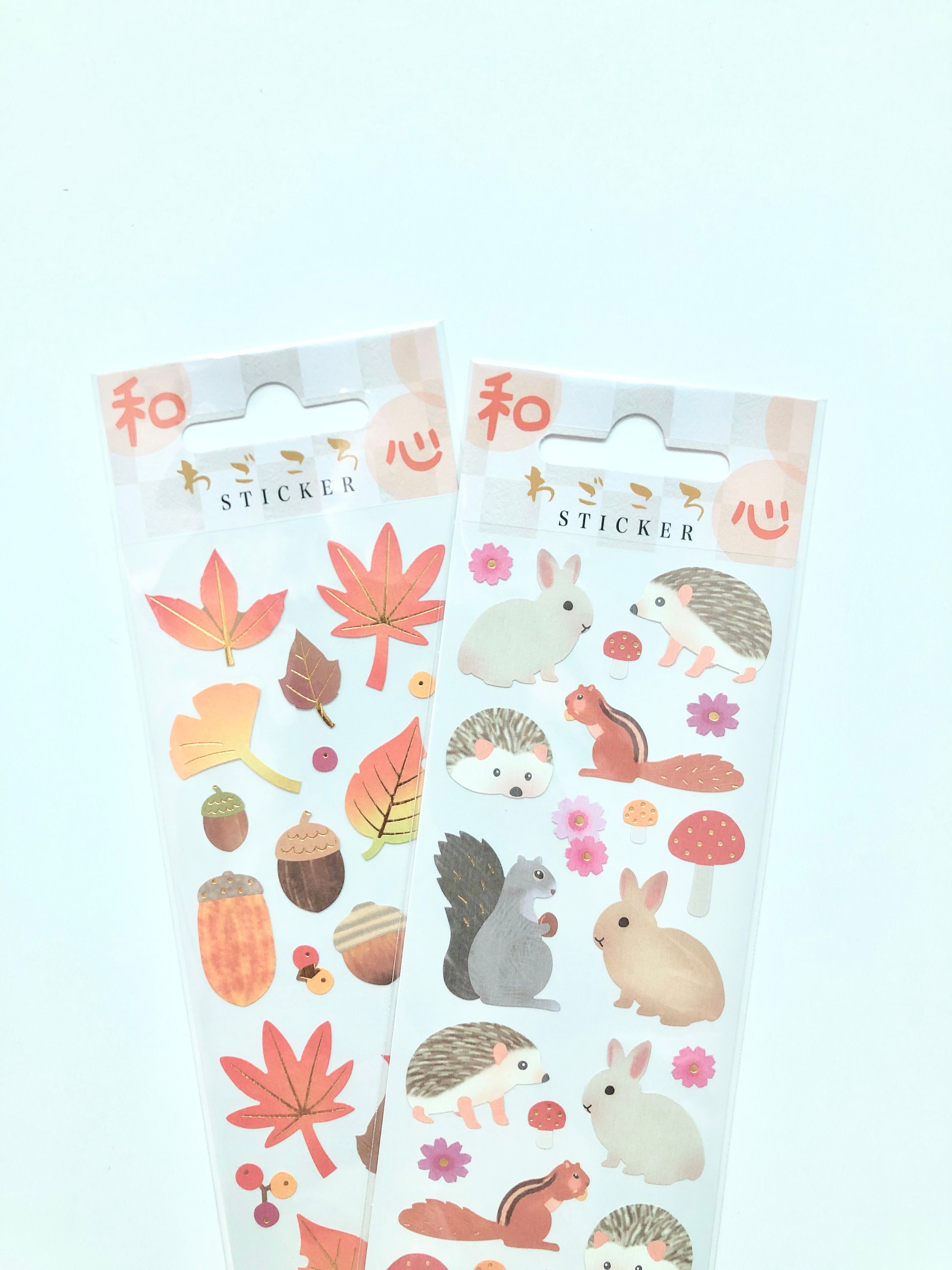 Fall Season Sticker Sheet Acorn Sticker Autumn Sticker - Etsy