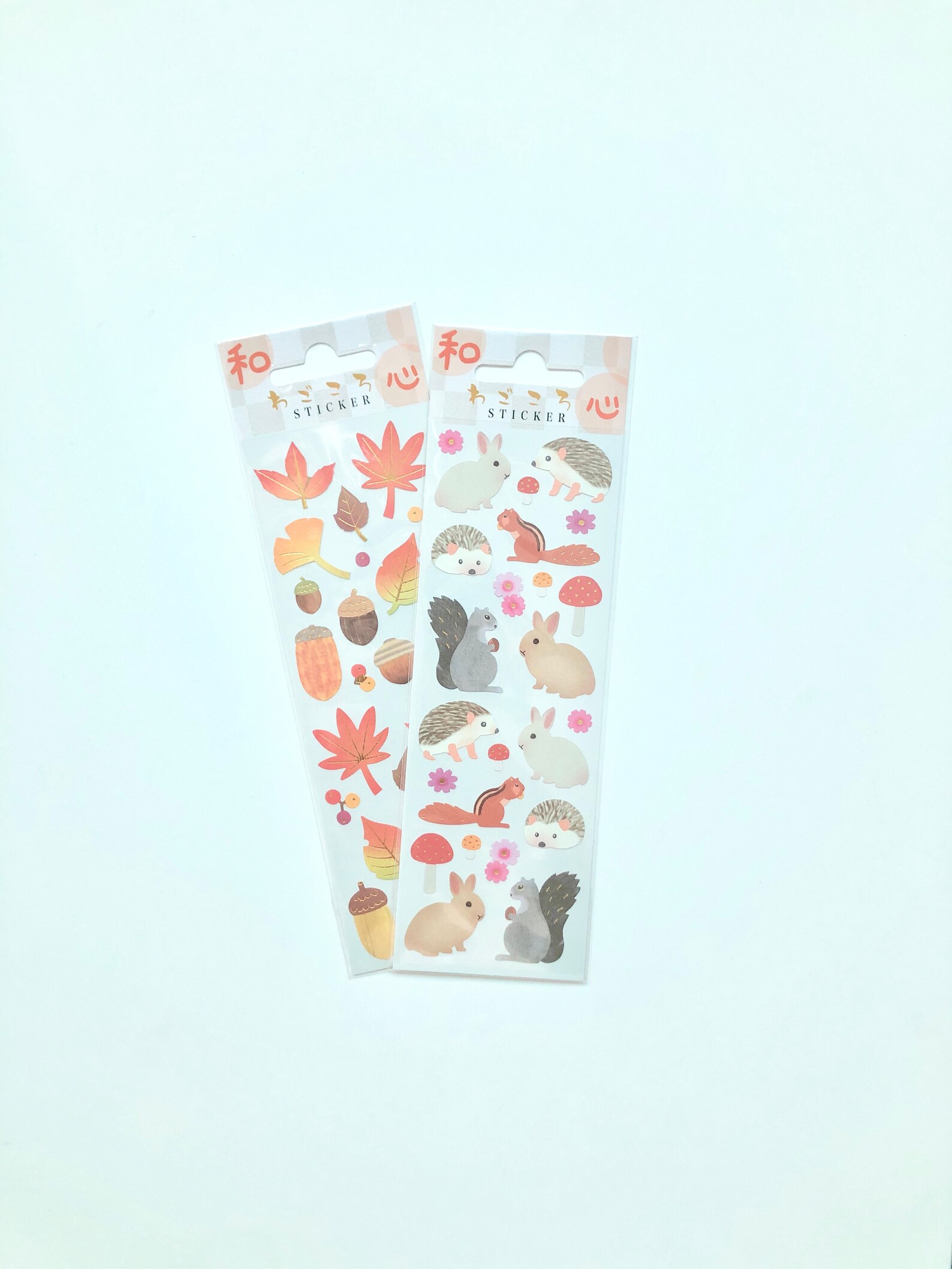 Fall Season Sticker Sheet Acorn Sticker Autumn Sticker - Etsy