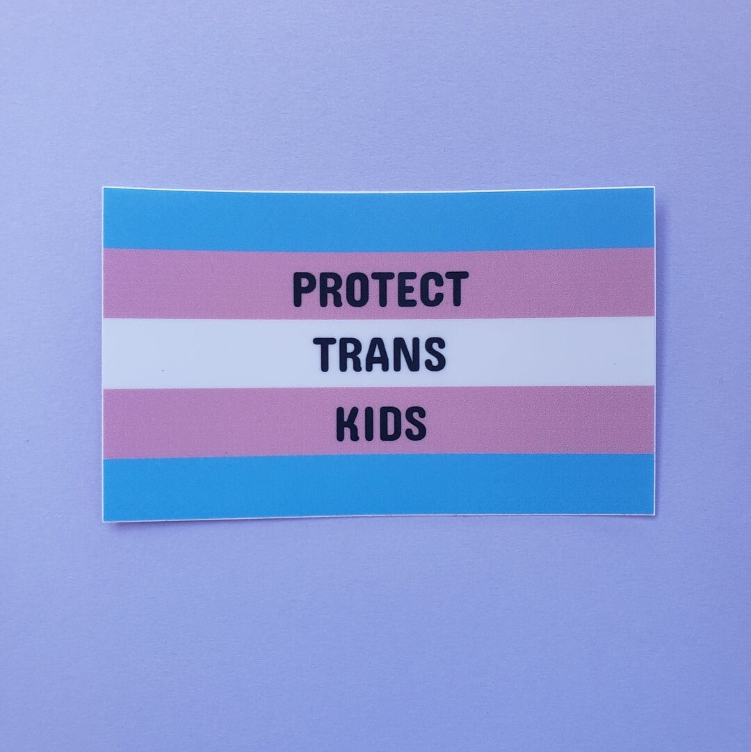 Protect Trans Kids Sticker - Etsy