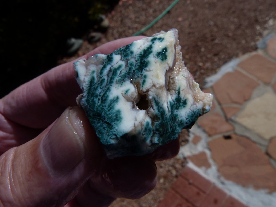 Extremely Rare Green Plume Agate Tonopah Specimen - Etsy