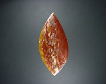 Natural Petrified Palm Root Fossil Smooth Cabochon Loose Gemstones ...