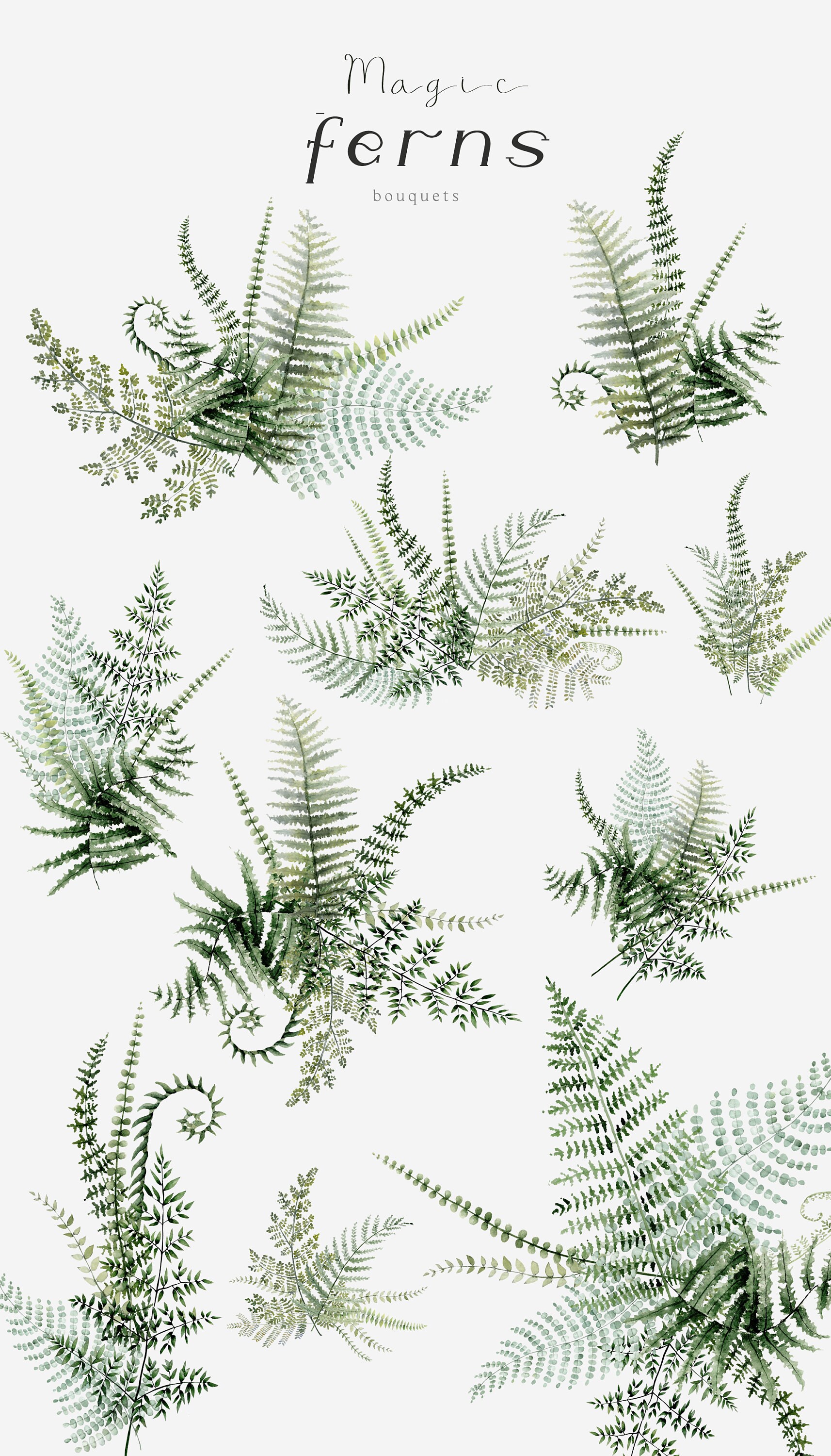 Watercolor Greenery Clipart , Watercolor Ferns, Botanical Clipart ...