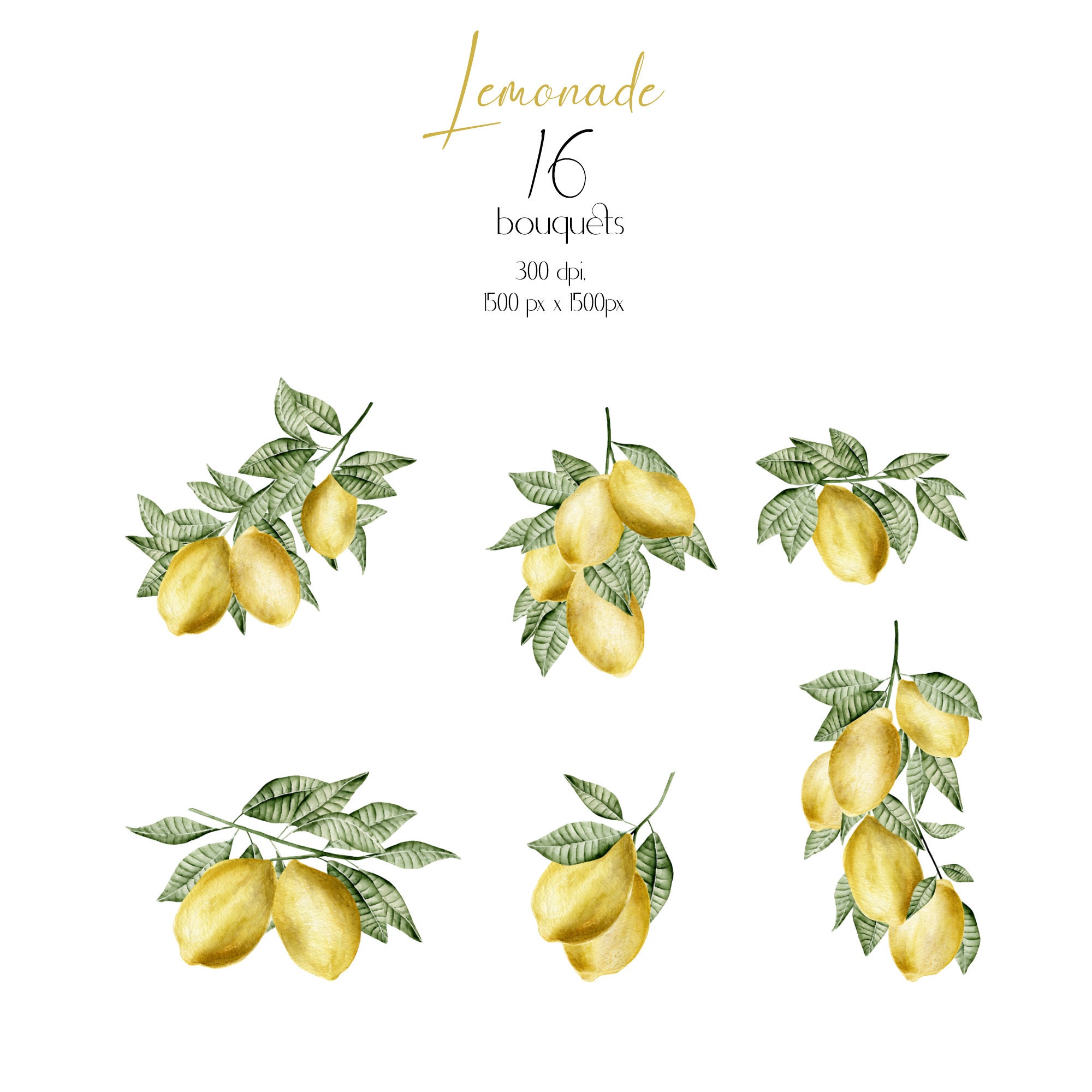 Watercolor Lemon Clipart Watercolor Citrus Bouquet Clip Art - Etsy Canada