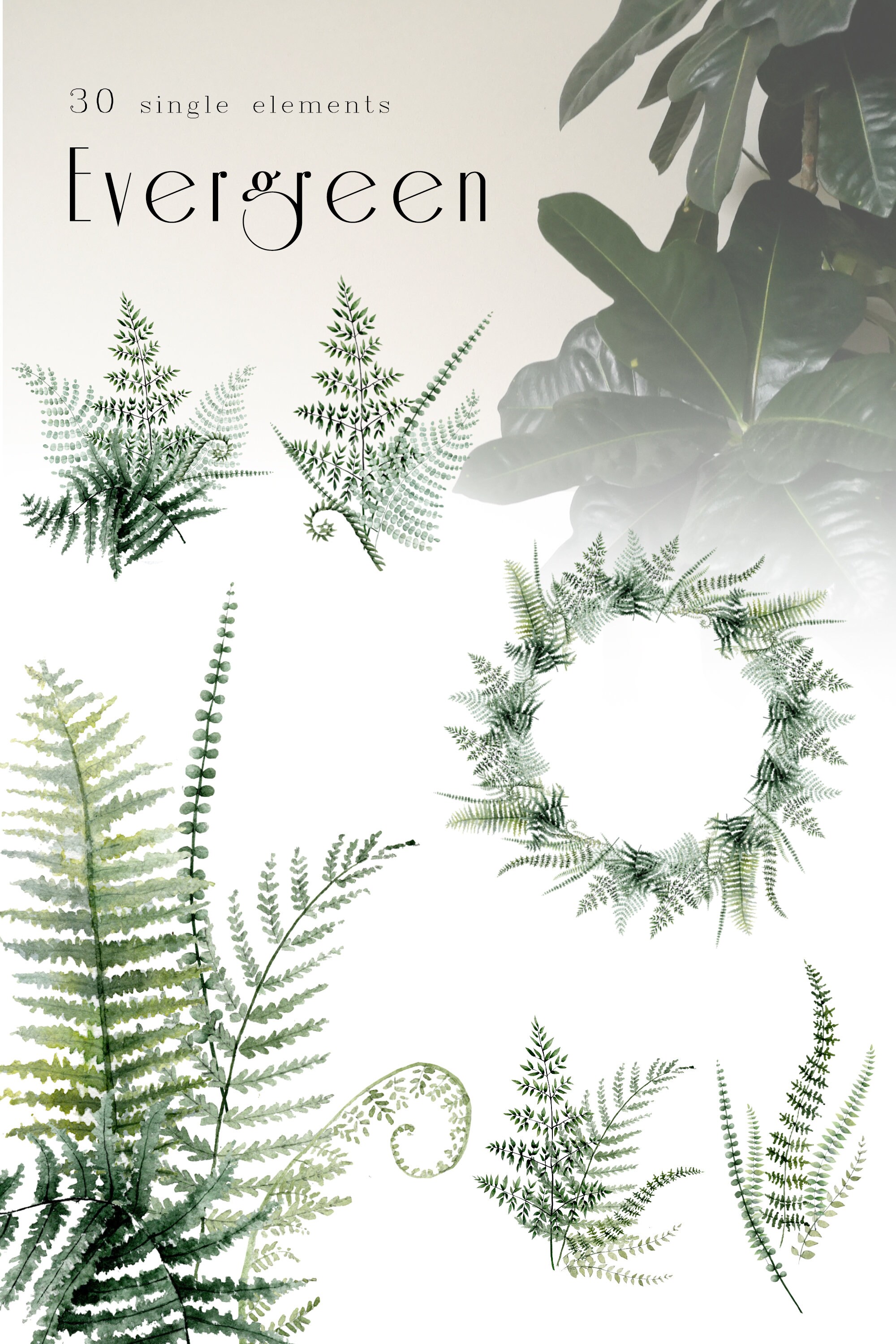 Watercolor Greenery Clipart Watercolor Ferns Botanical - Etsy