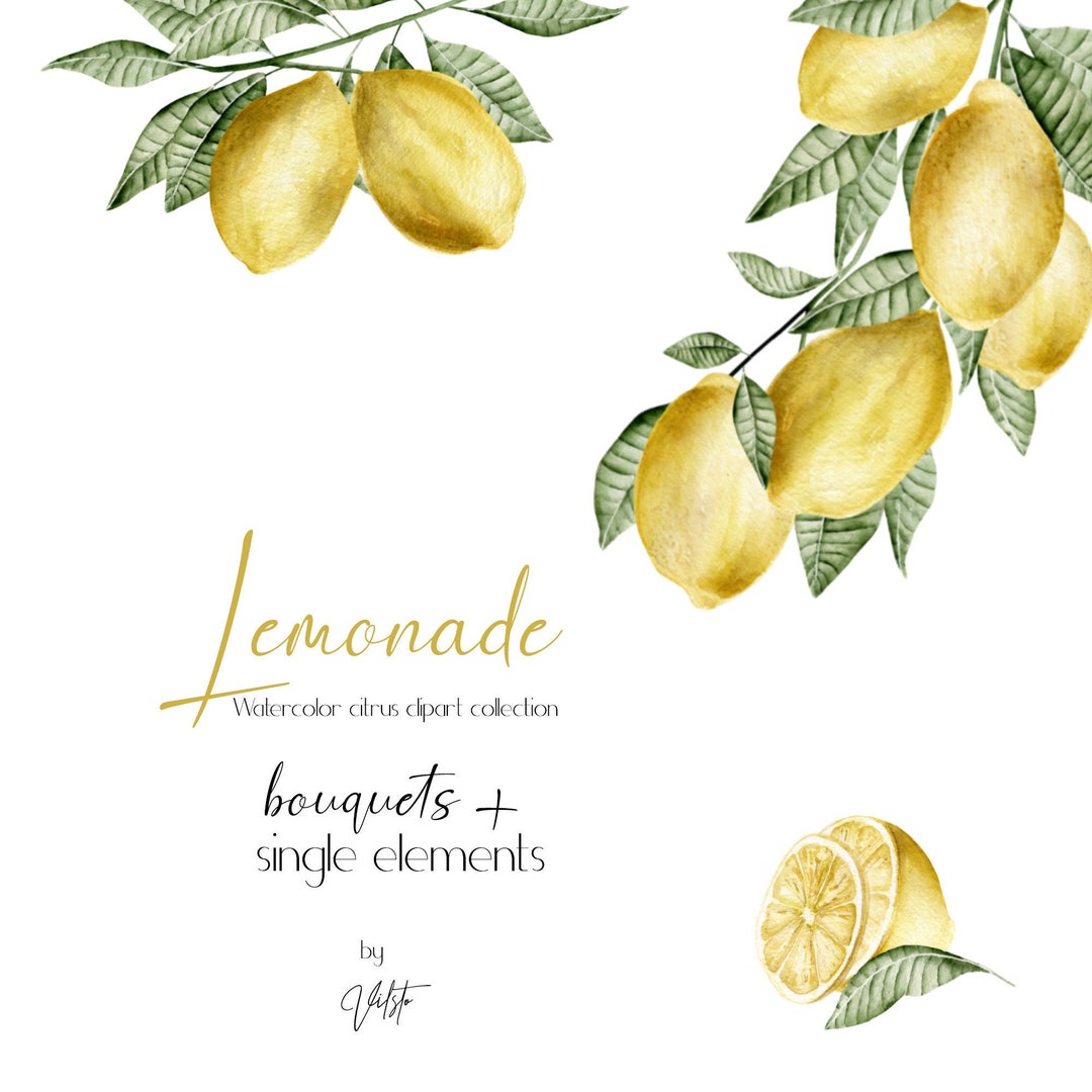 Watercolor Lemon Clipart Watercolor Citrus Bouquet Clip Art - Etsy Canada