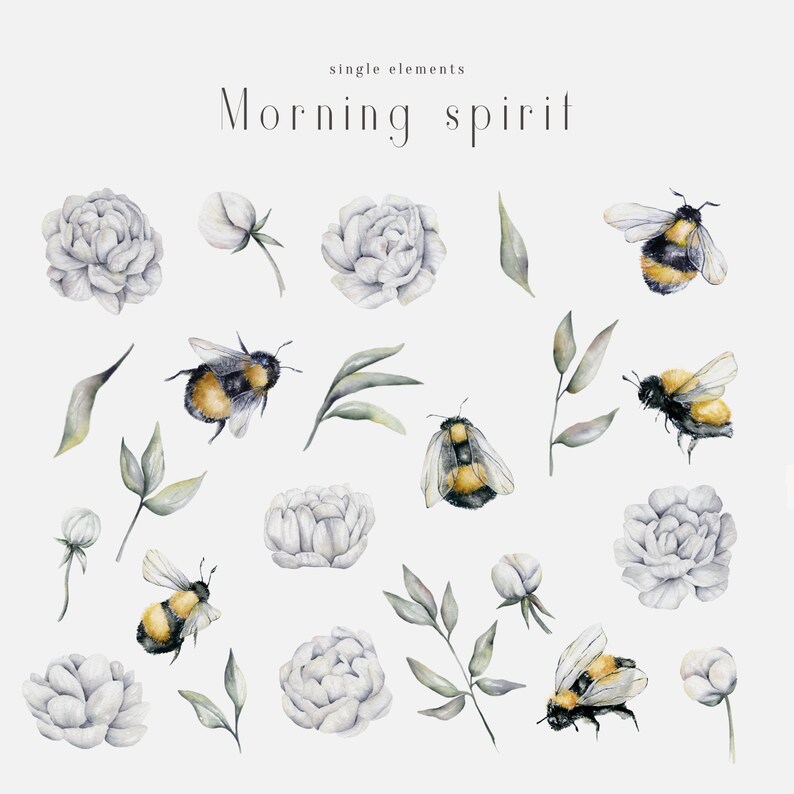 Watercolor Bumble Bee Clipart Honey Bee Clipart Png - Etsy