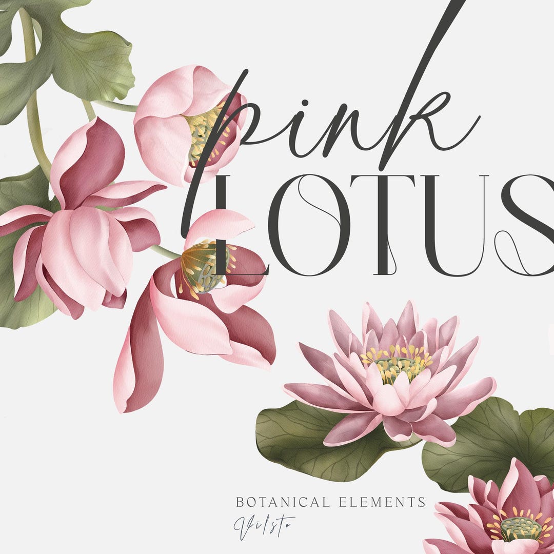 Pink Lotus Watercolor Clipart | Hand-painted Floral Graphics | Digital ...