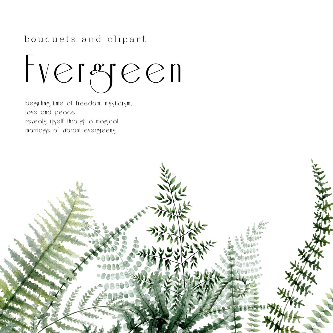 Watercolor Greenery Clipart Watercolor Ferns Botanical - Etsy