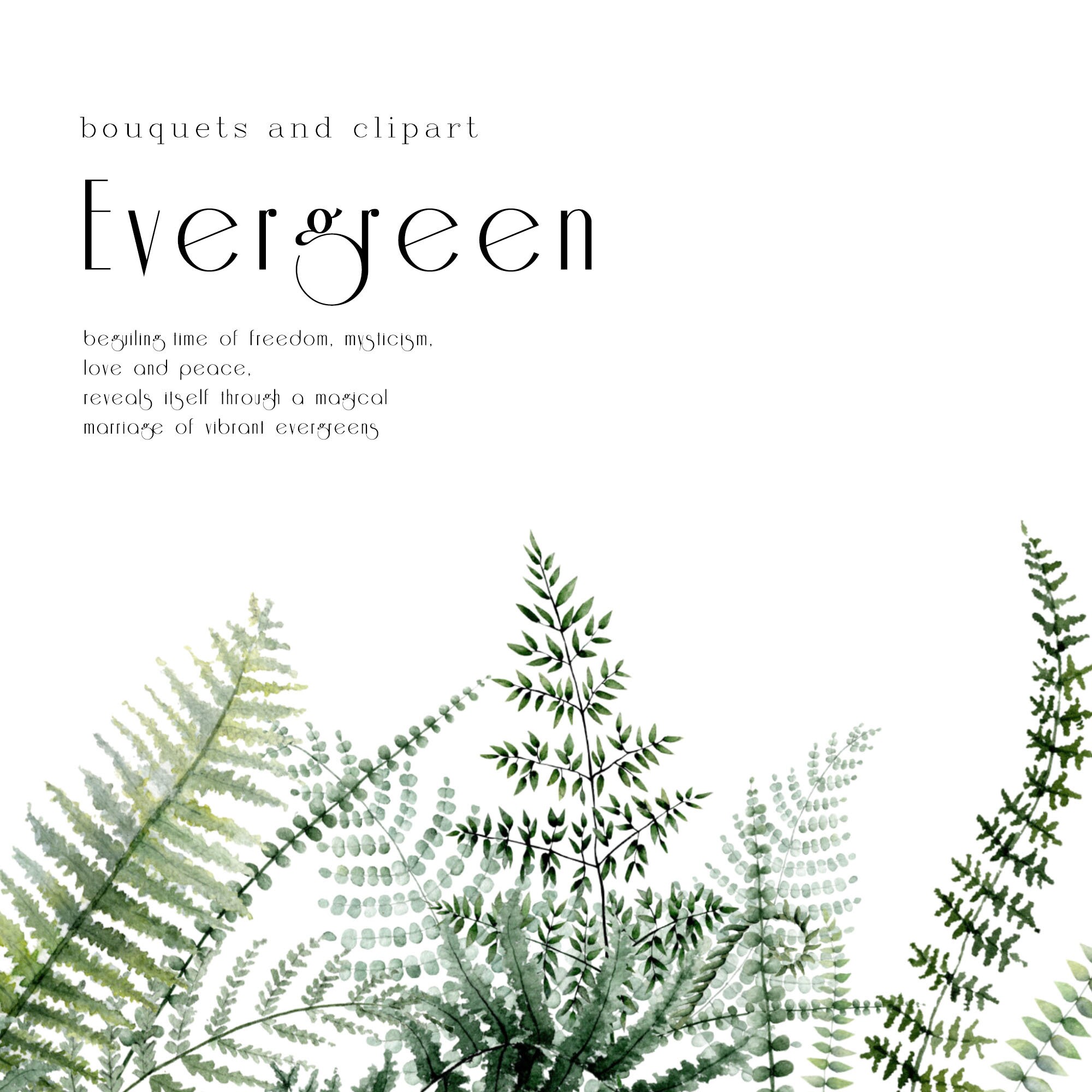 Watercolor Greenery Clipart Watercolor Ferns Botanical - Etsy