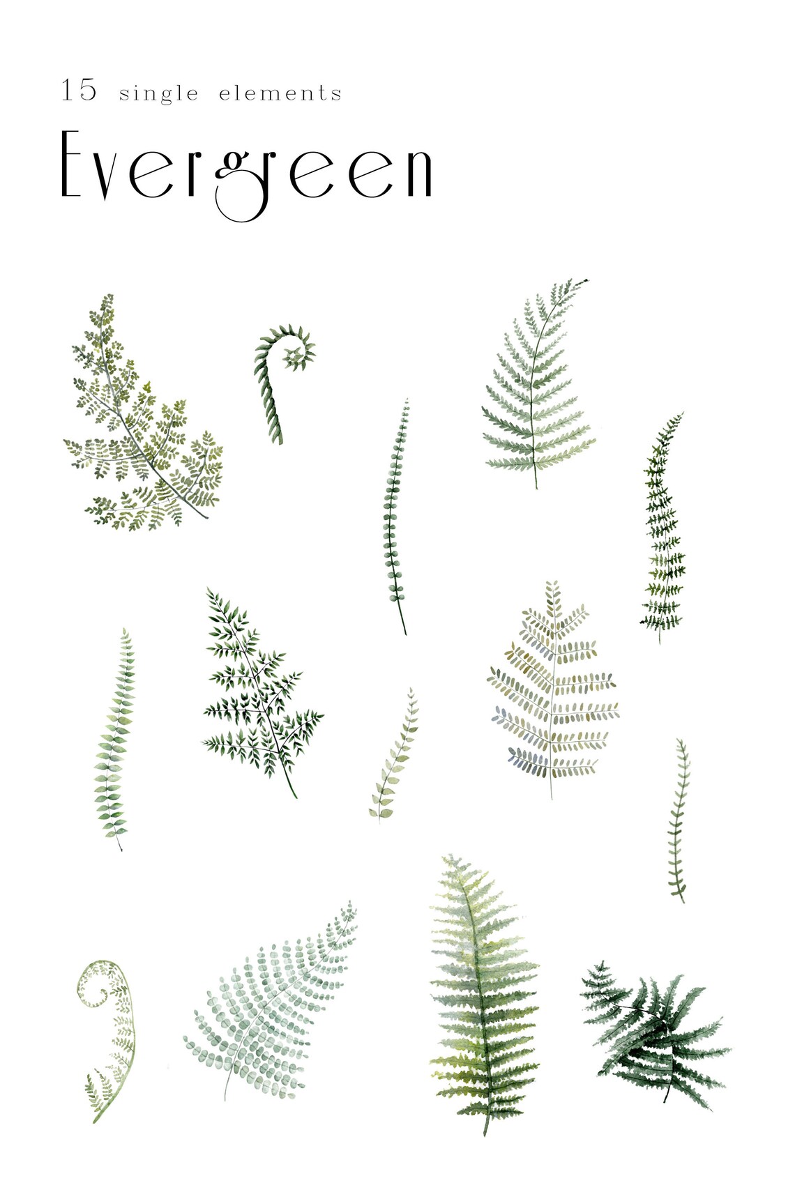 Watercolor Greenery Clipart Watercolor Ferns Botanical | Etsy