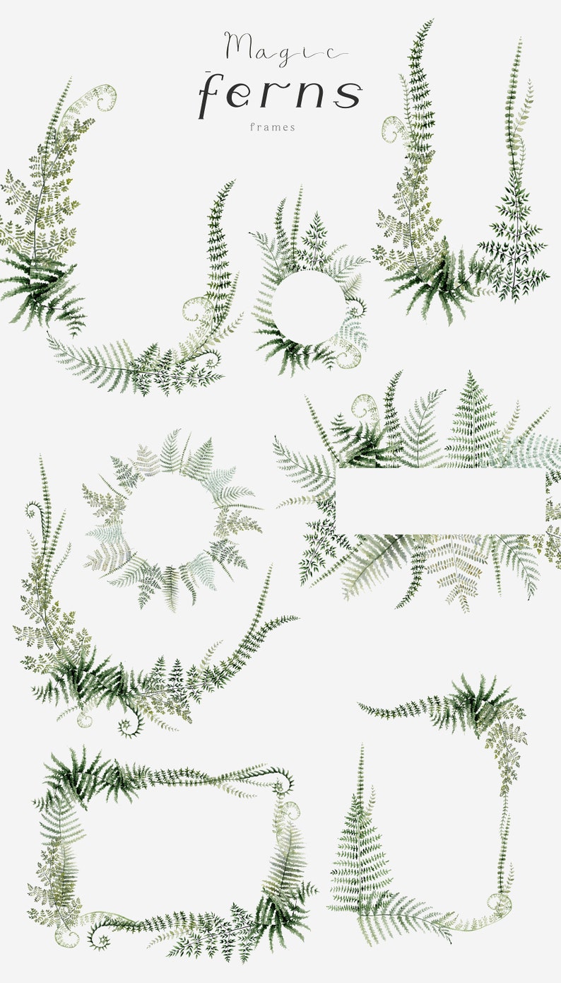 Watercolor Greenery Clipart , Watercolor Ferns, Botanical Clipart ...