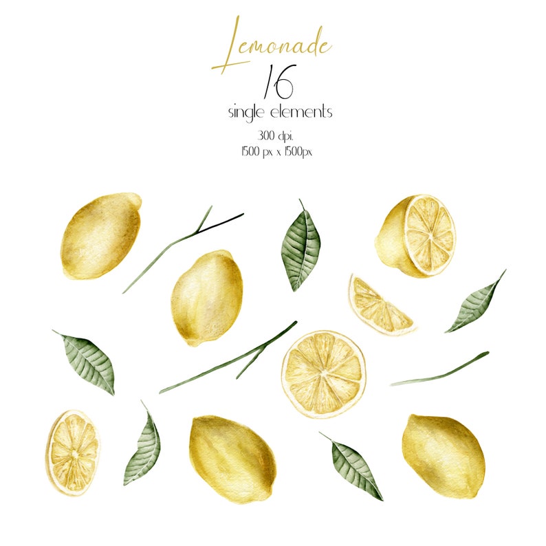 Watercolor Lemon Clipart Watercolor Citrus Bouquet Clip Art - Etsy Canada