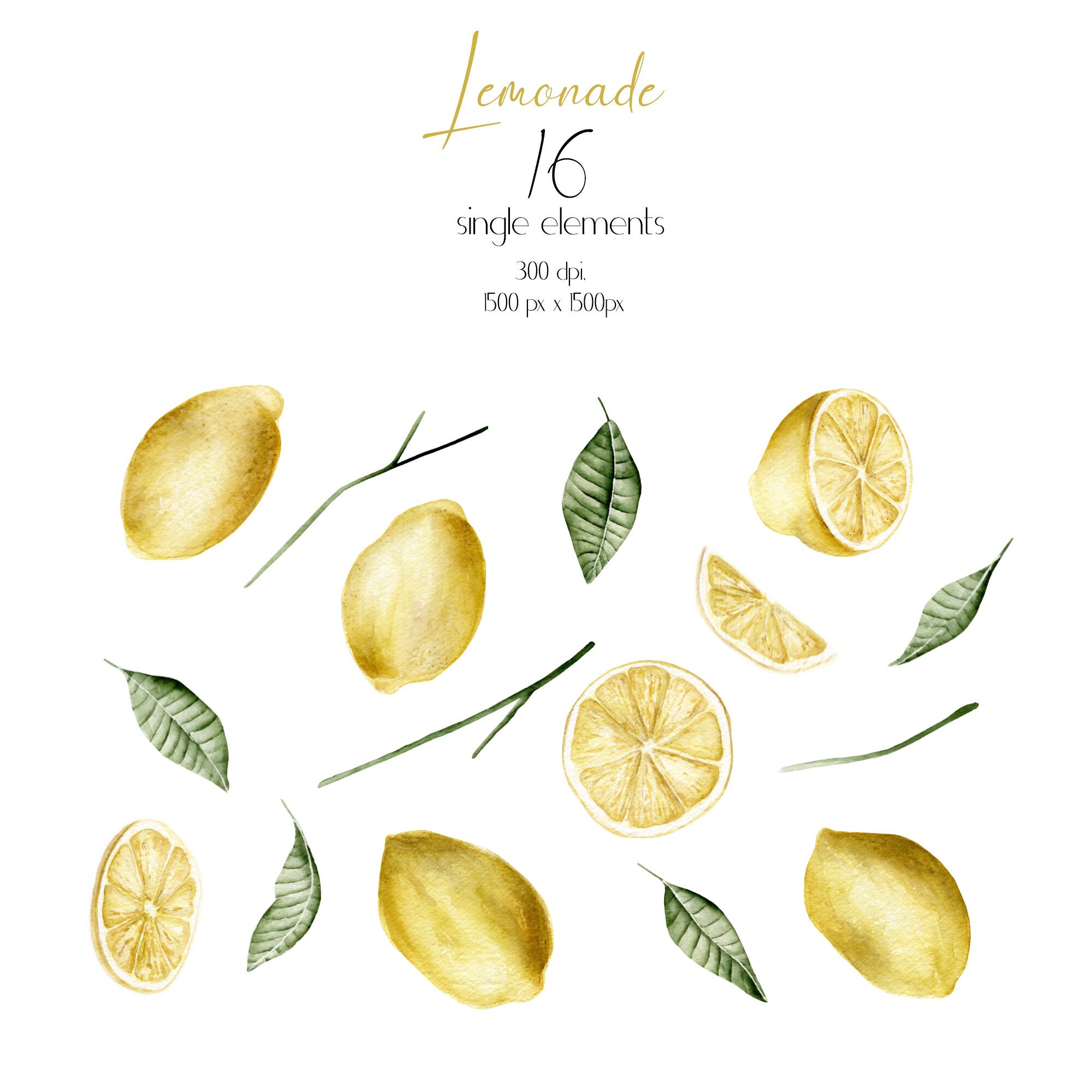 Watercolor Lemon Clipart Watercolor Citrus Bouquet Clip Art - Etsy Canada