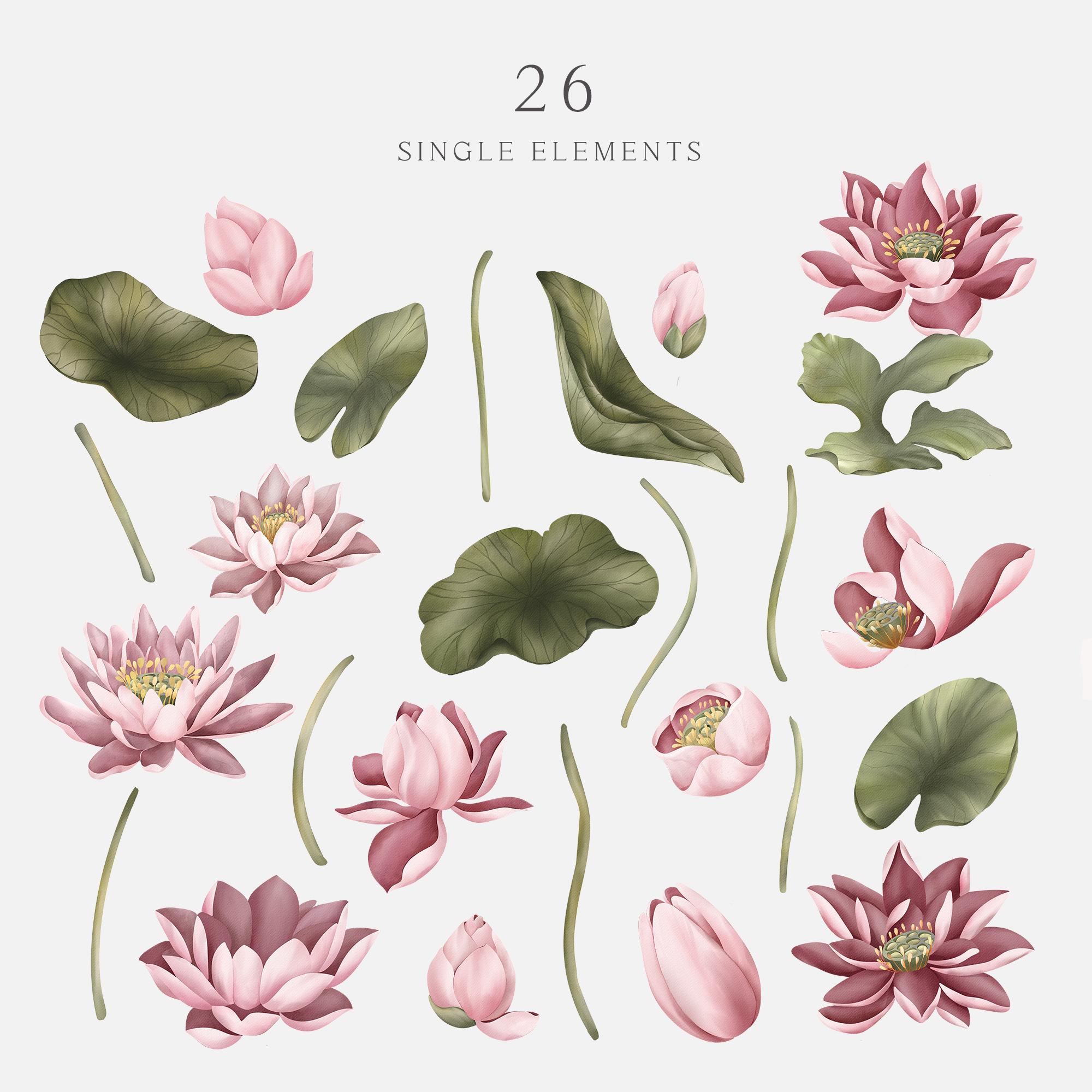 Pink Lotus Watercolor Clipart | Hand-painted Floral Graphics | Digital ...