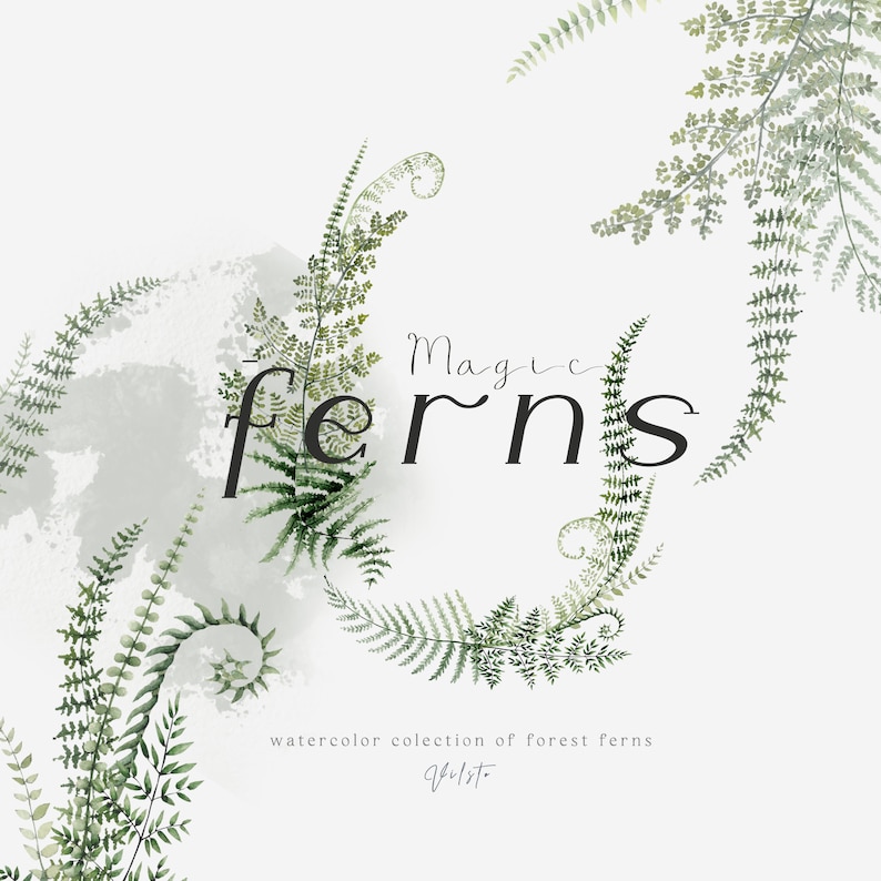 Watercolor Greenery Clipart , Watercolor Ferns, Botanical Clipart ...