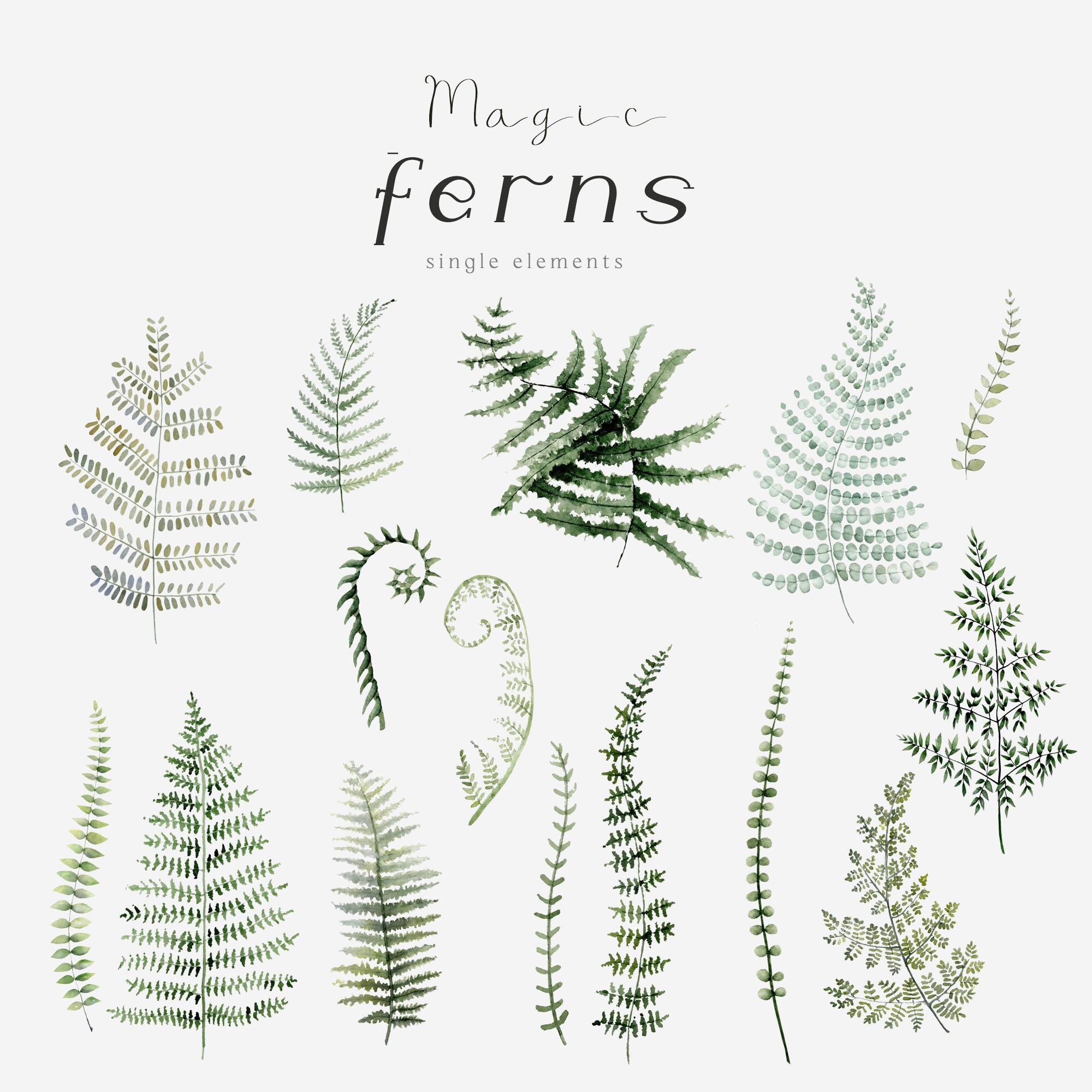Watercolor Greenery Clipart , Watercolor Ferns, Botanical Clipart ...