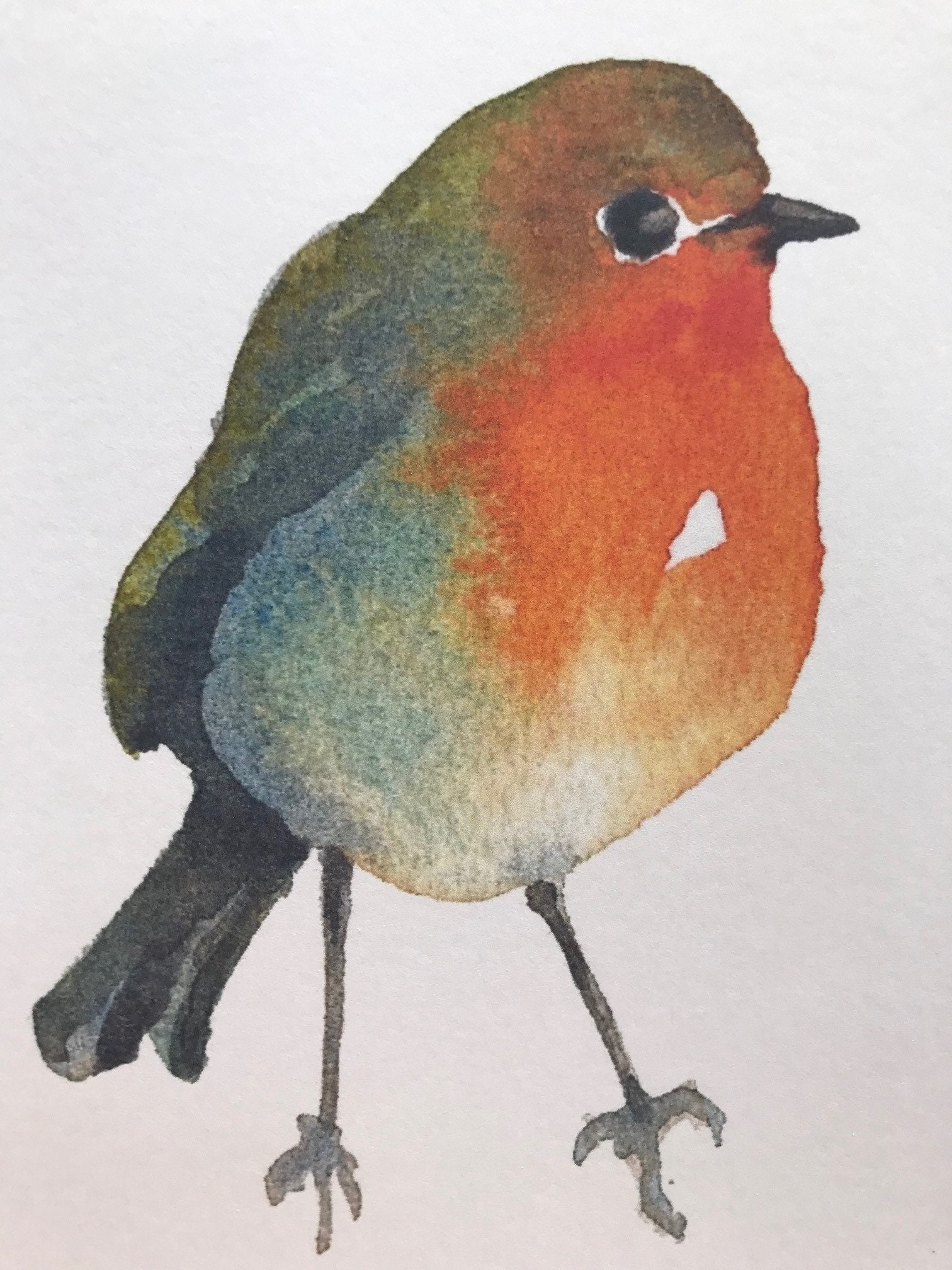 Cute Robin Bird Cute Robin Art Robin Painting Robin Print Cute Bird ...