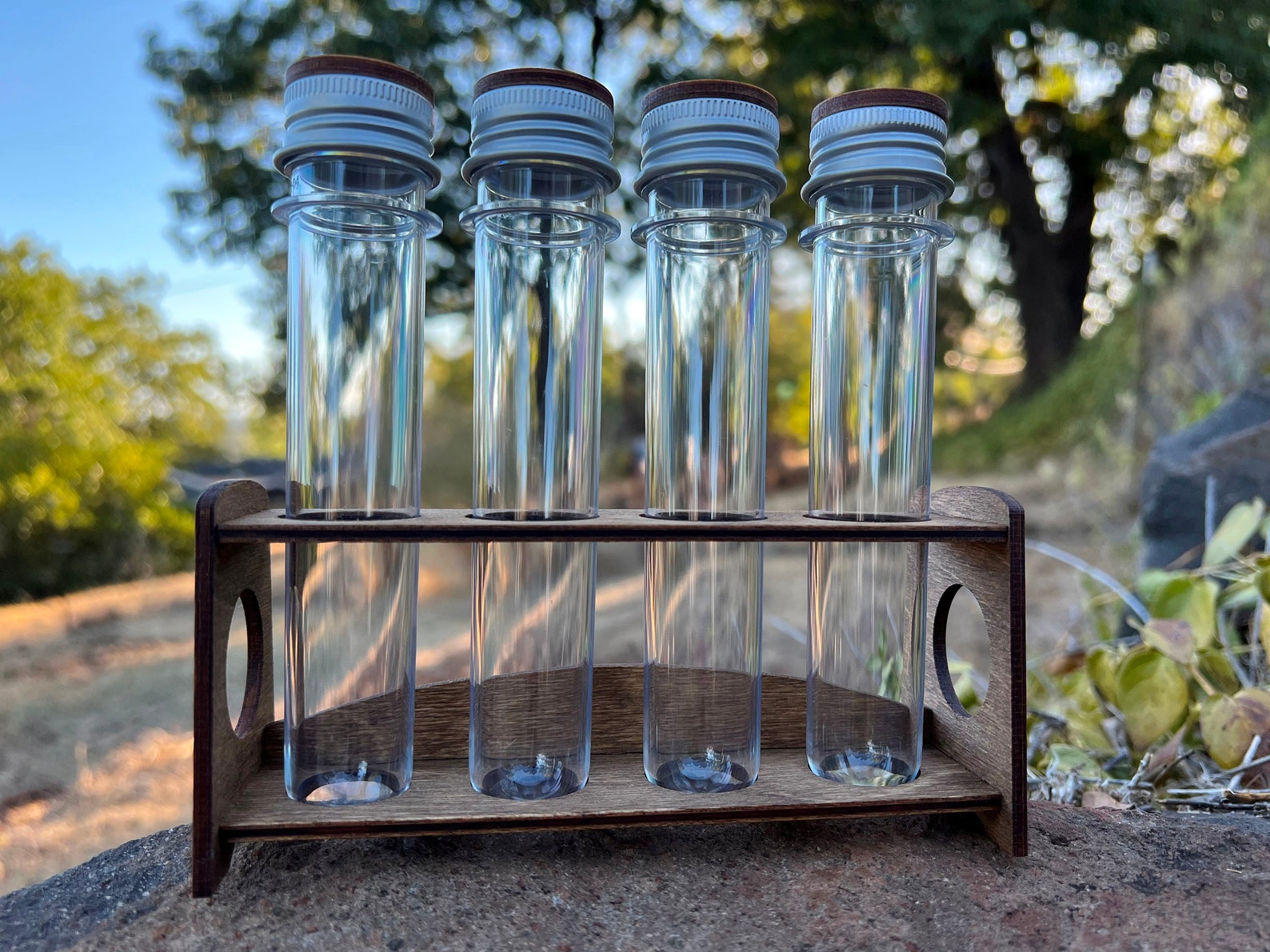 Dnd Dice Display Rack Dice Potion Flask Display D&D - Etsy