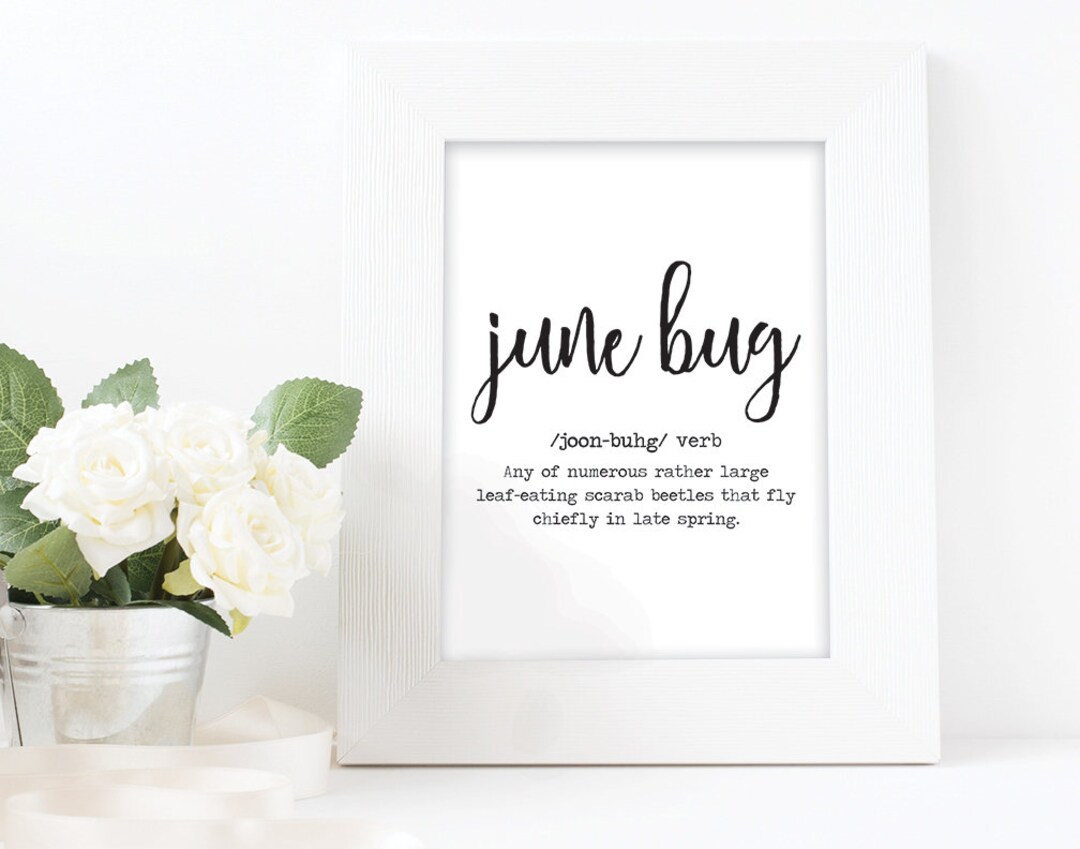 Southern Sayings Defined 8x10- June Bug - Etsy