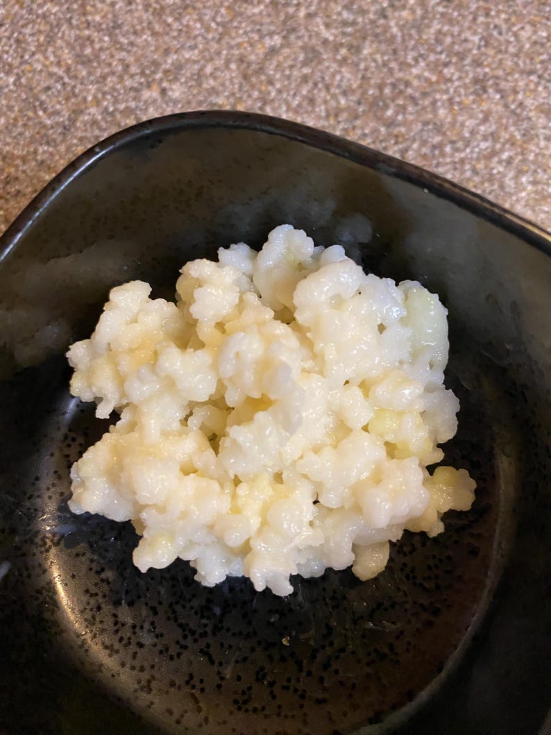 Milk Kefir Grains Raw Live Organic Local Farm Homemade Caucasus Origin ...