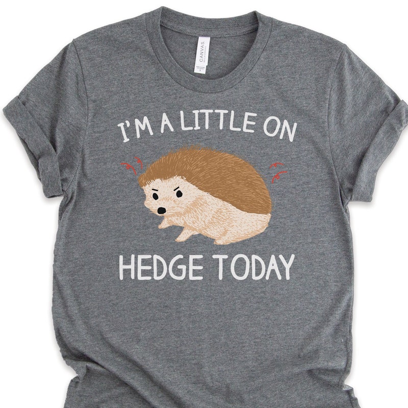Hedgehog Gifts - 60+ Gift Ideas for 2024