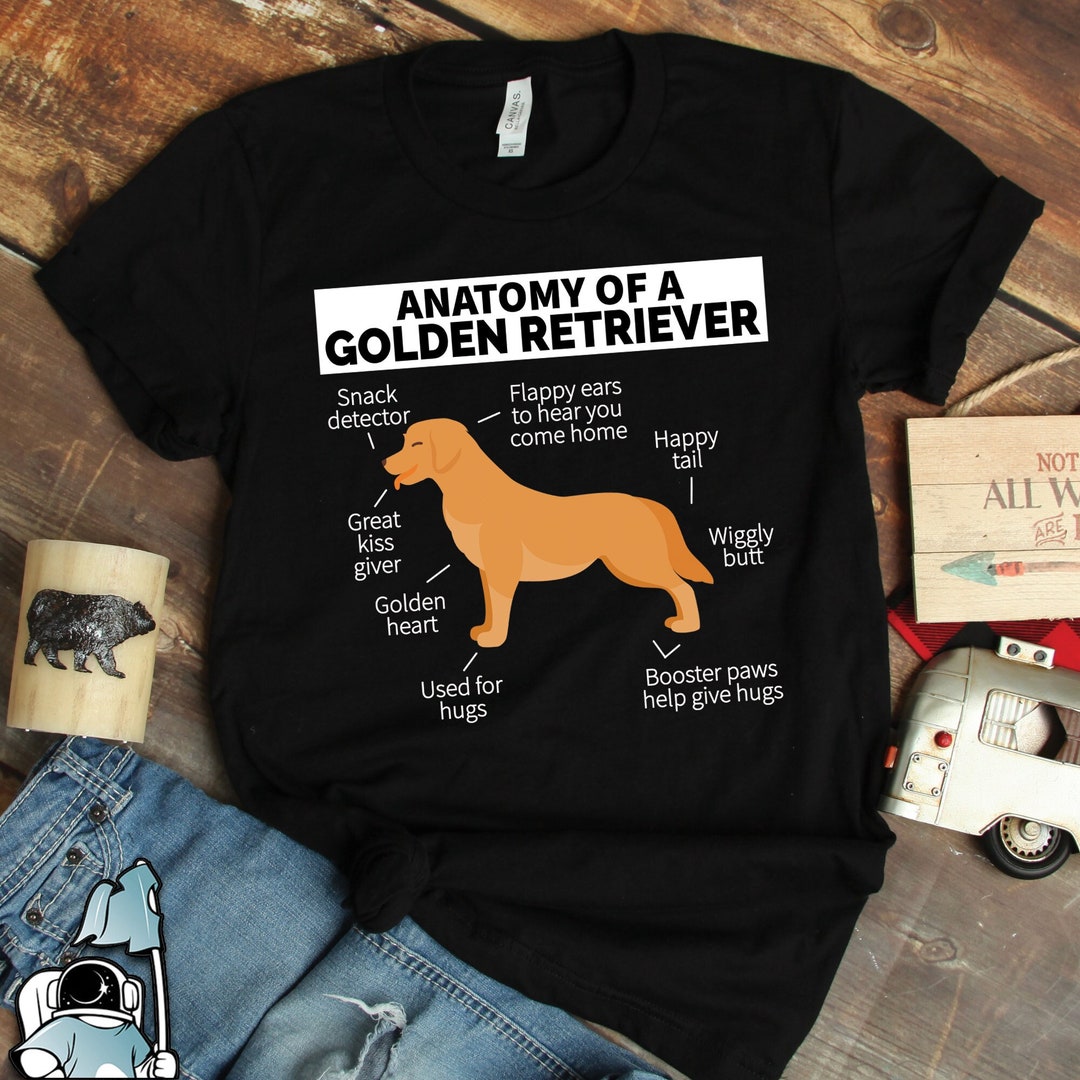 Golden Retriever Dog Anatomy Shirt, Golden Retriever Shirts, Golden Retriever Gifts, Pet Dog ...
