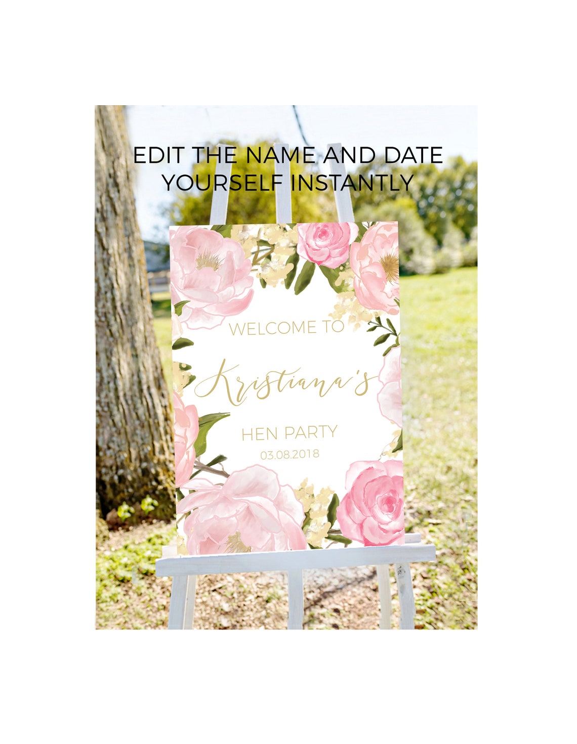 Hen Party Welcome Sign Welcome to Hens Party Sign Pastel - Etsy Australia